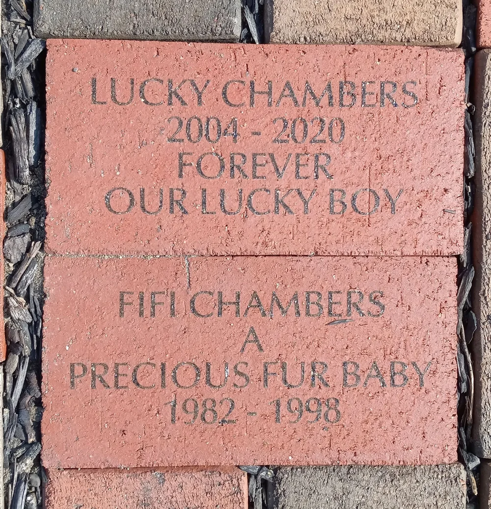Humane Society of Yates County — Buy a Brick!