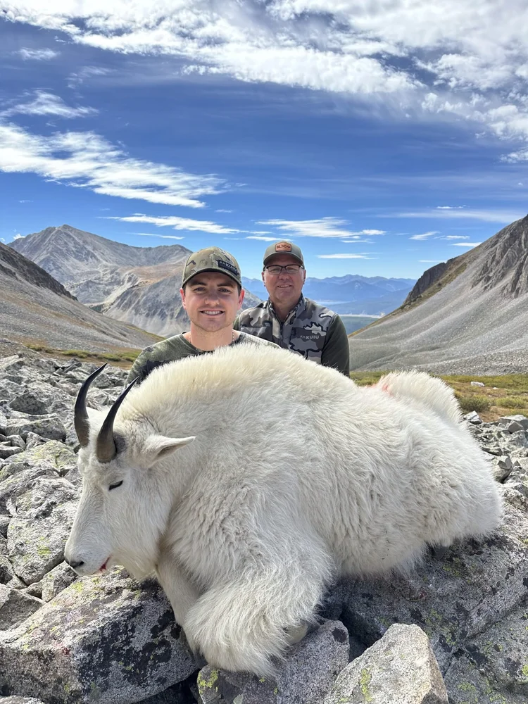 2025 Colorado Bighorn Sheep, Mountain Goat, and Shiras Moose ...