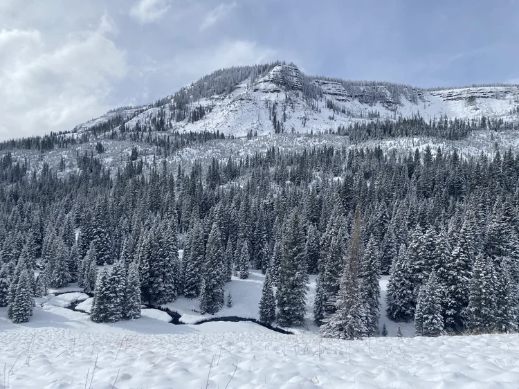 Guide To The 2025 Colorado Big Game Draw and A detailed How To Apply ...