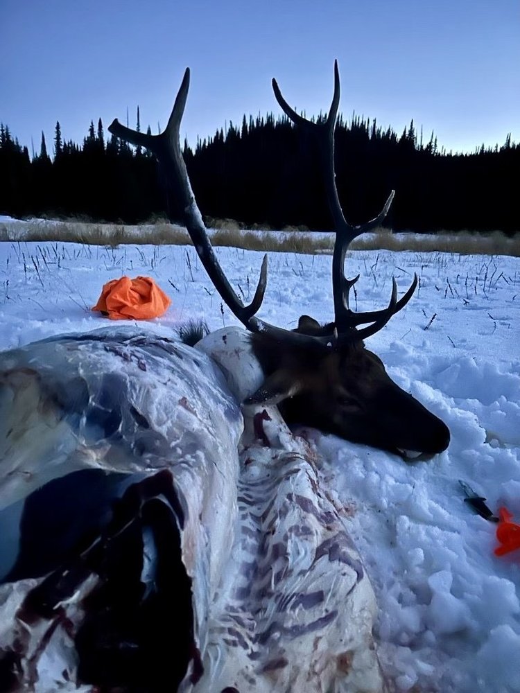 Guide To The 2025 Colorado Big Game Draw and A detailed How To Apply ...