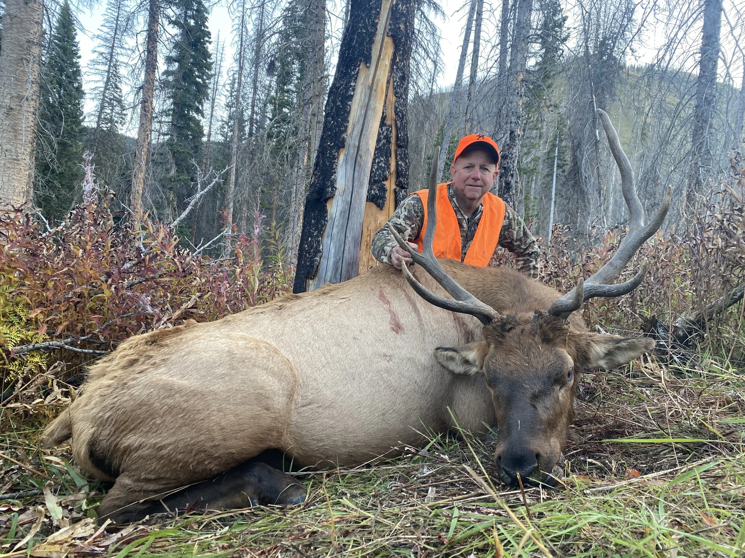 DROP CAMP ELK/DEER/BEAR — Rivers Bend Outfitters