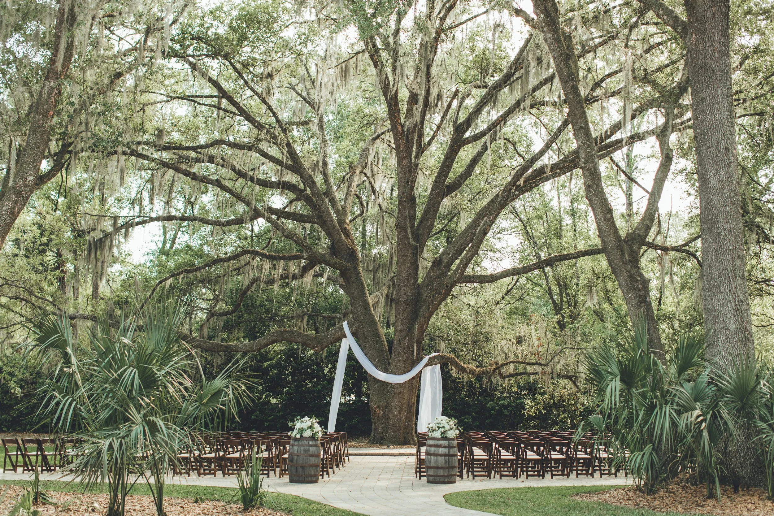 Bowing Oaks — Southern Palms Studio