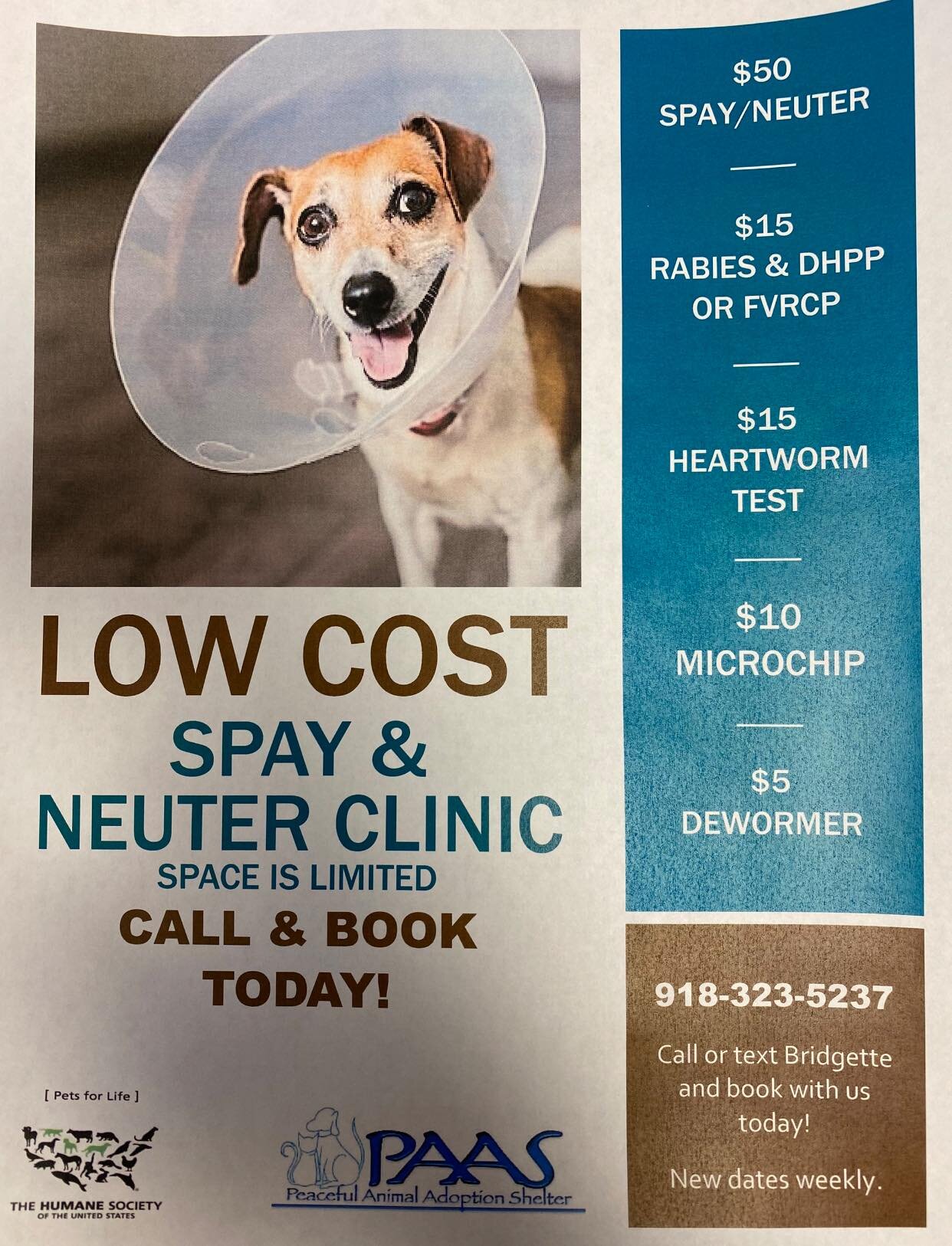 How Much Does It Cost To Spay A Dog