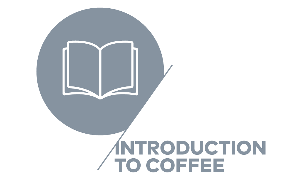 CSP — SCA South Korea Chapter