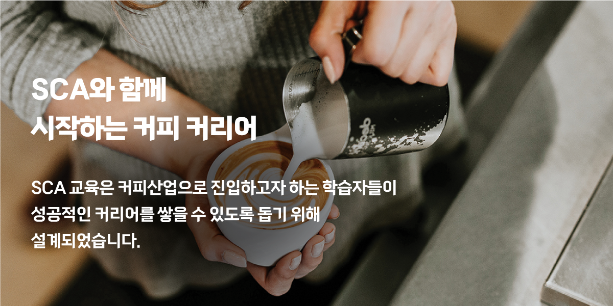 스페셜티커피협회, 한국챕터, Specialty Coffee Association, SCA Korea