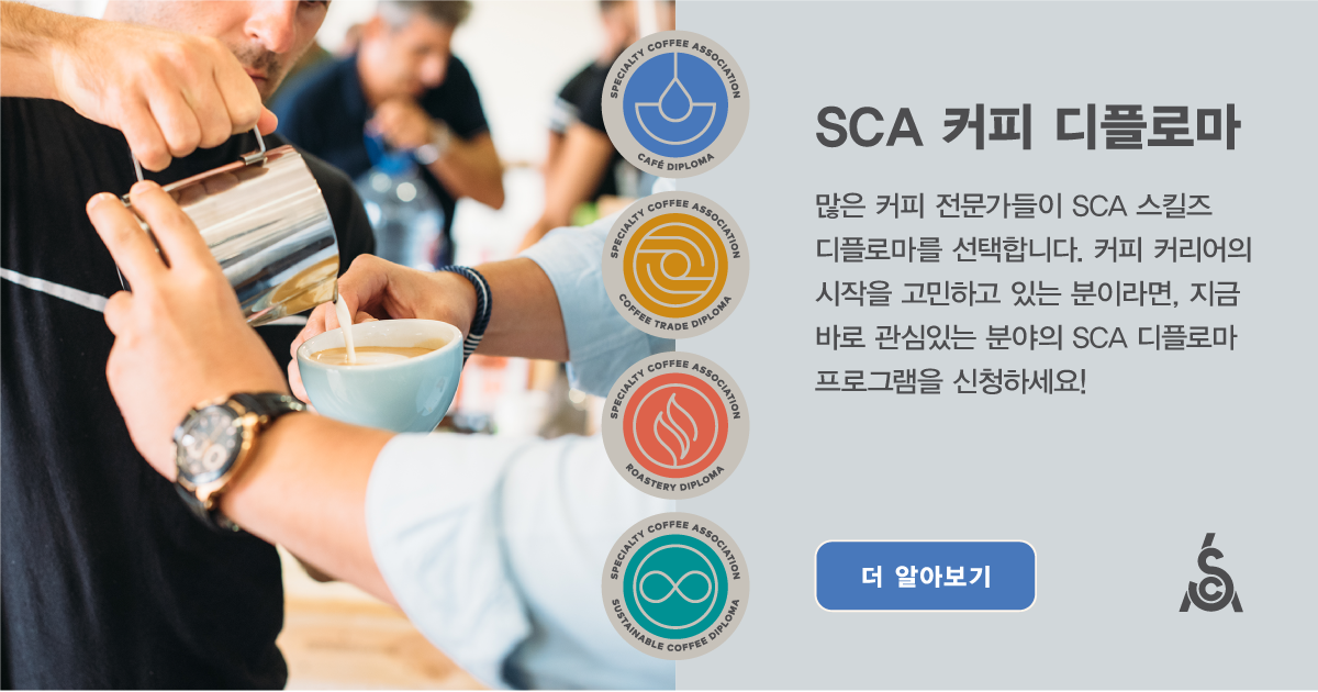 스페셜티커피협회, 한국챕터, Specialty Coffee Association, SCA Korea