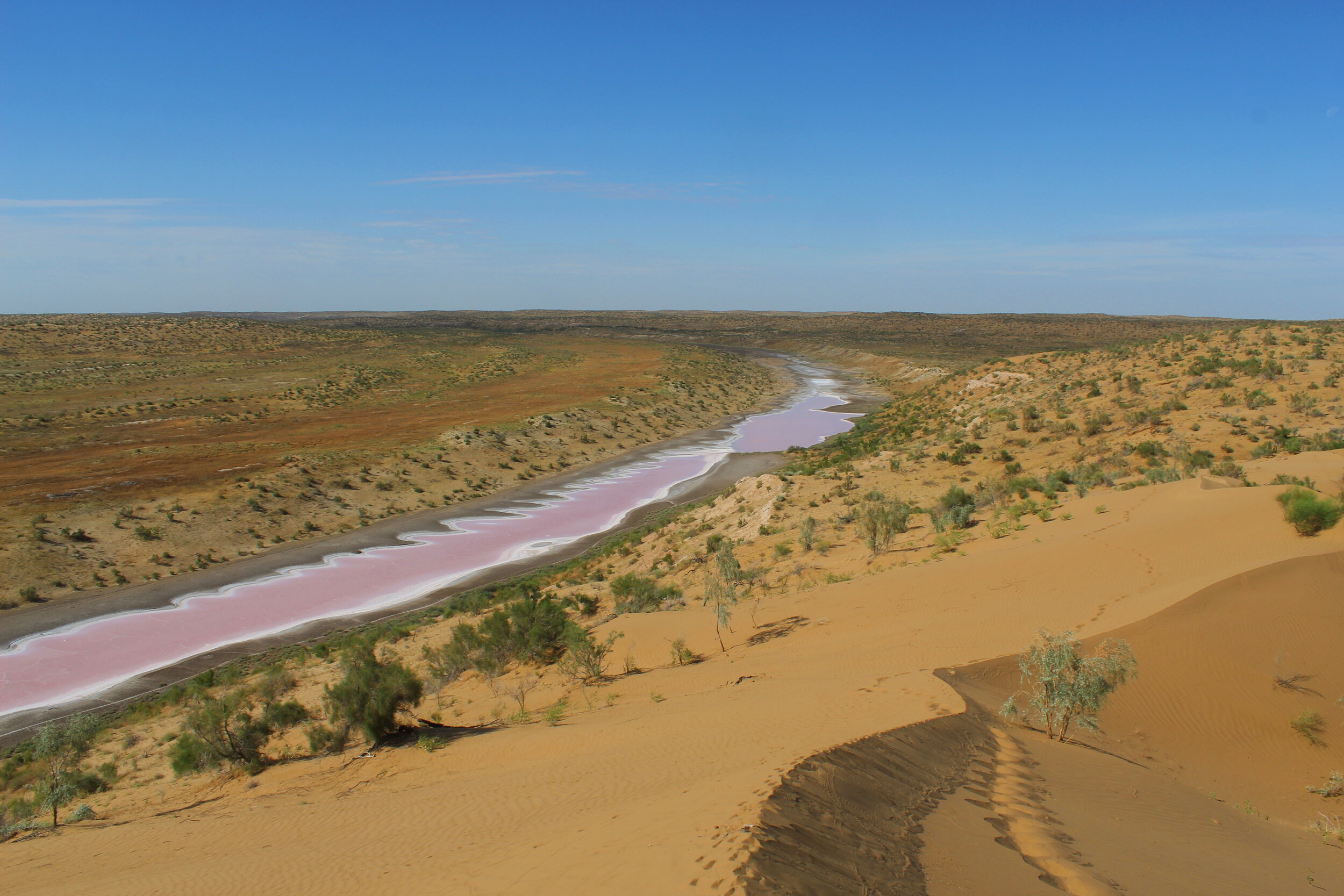 Labeled the ‘Cold Winter Deserts of Central Asia’ IUCN Recommends 4 ...