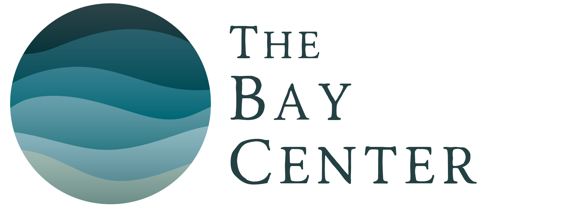 The Bay Center
