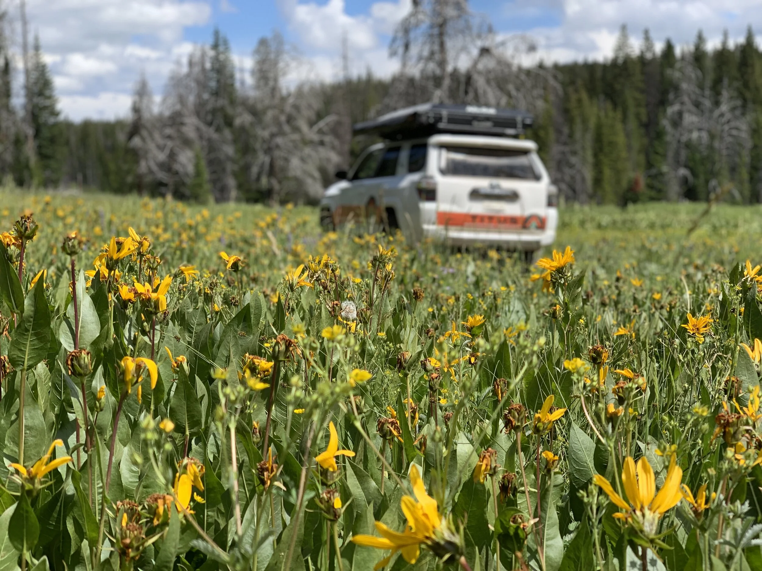 TAC 4Runner Hank — Titus Adventure Company | Colorado 4x4 Rentals