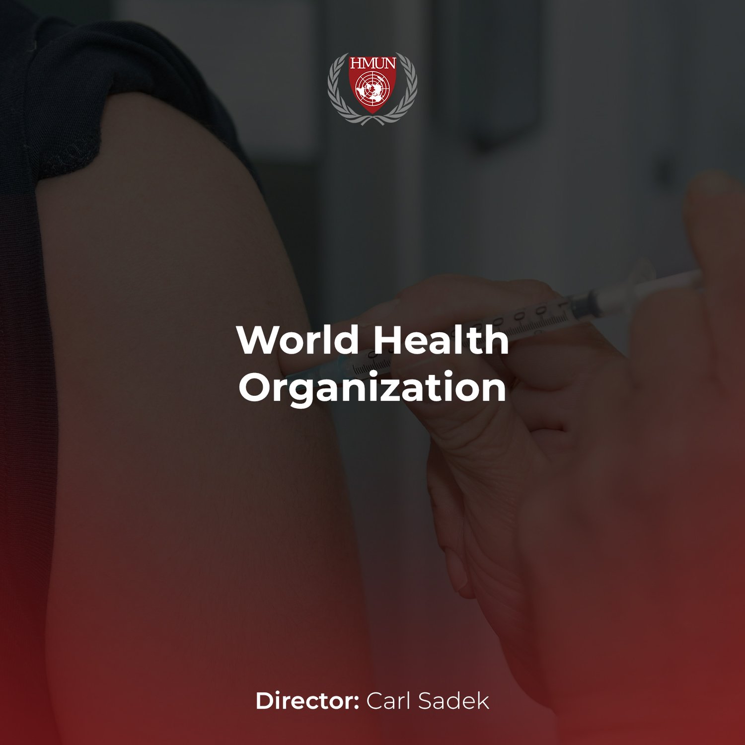 Committees — Harvard Model UN