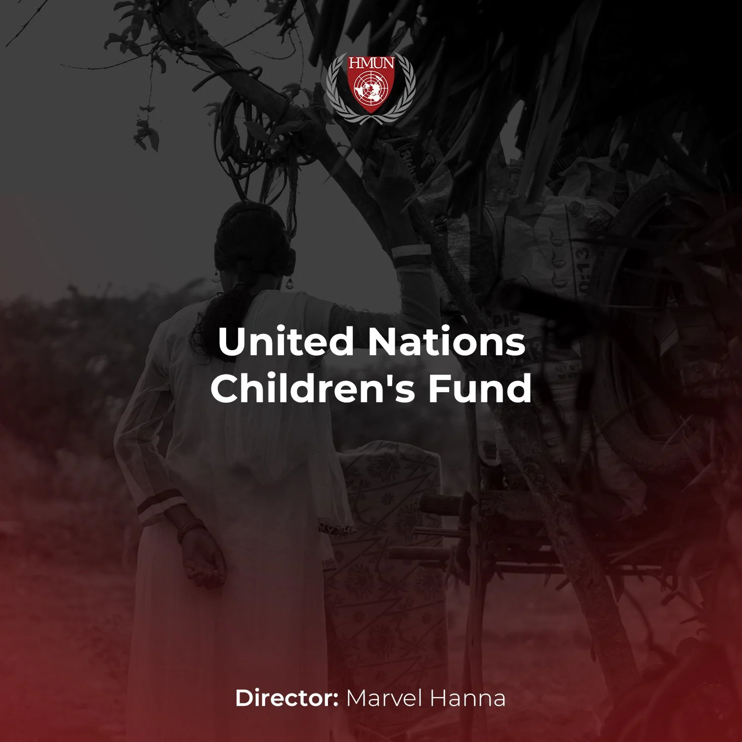 Committees — Harvard Model UN