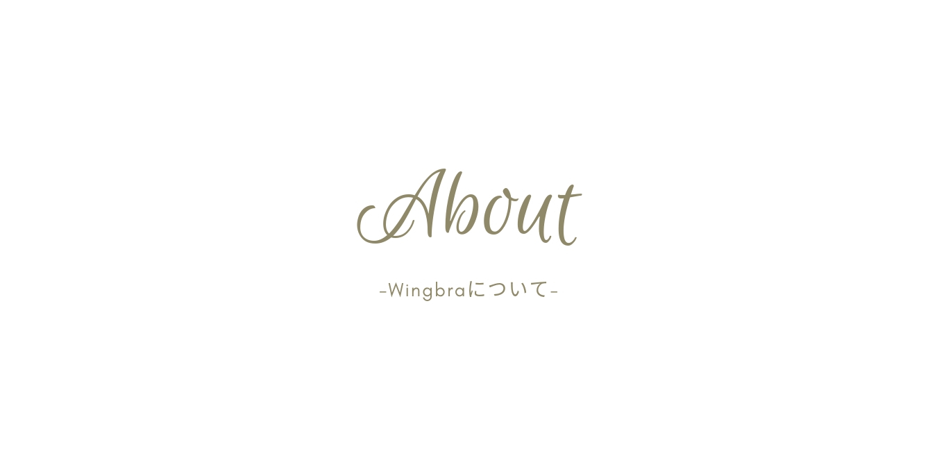 Wingbra(ウィングブラ)とは — WingBra(ウィングブラ)