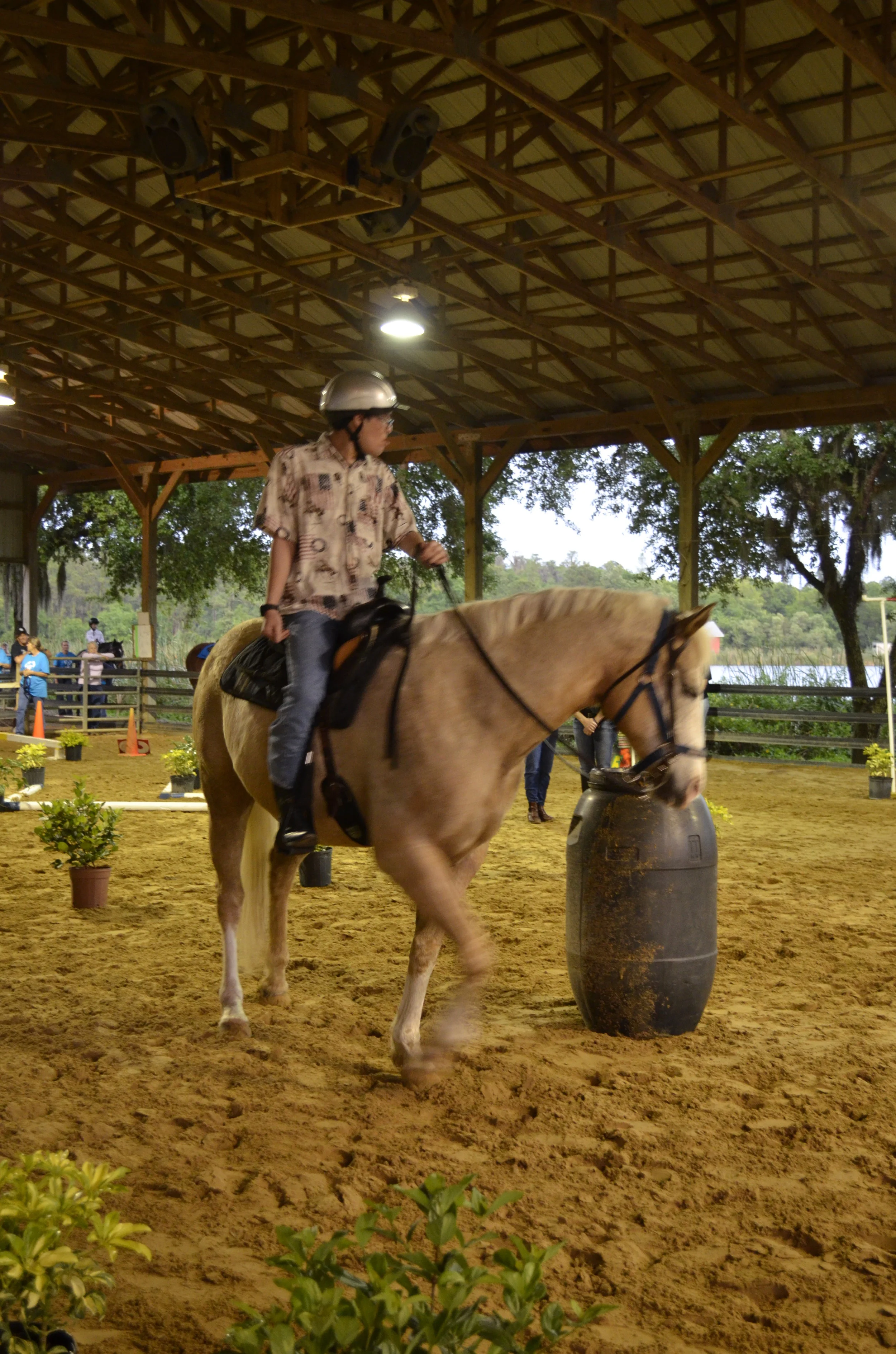 Gallery — Bakas Equestrian Center