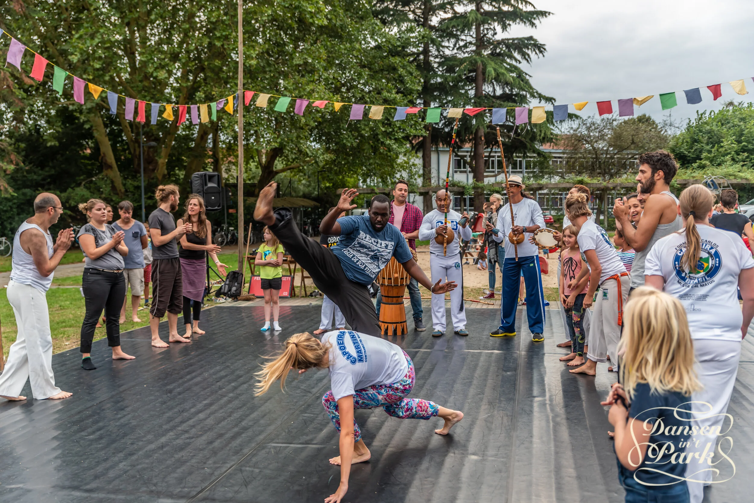 Galerij — Dansen in 't Park