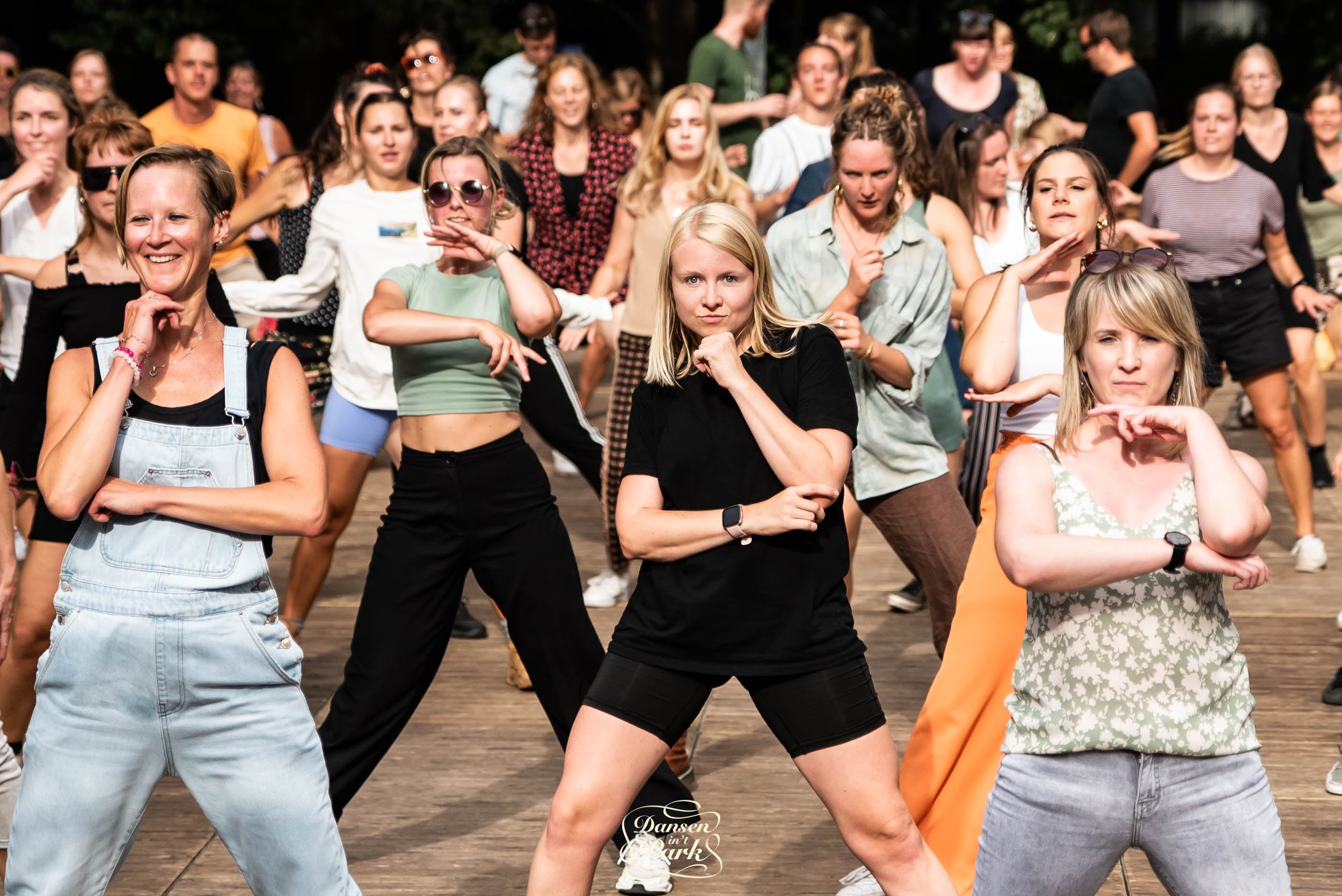 Programma — Dansen in 't Park