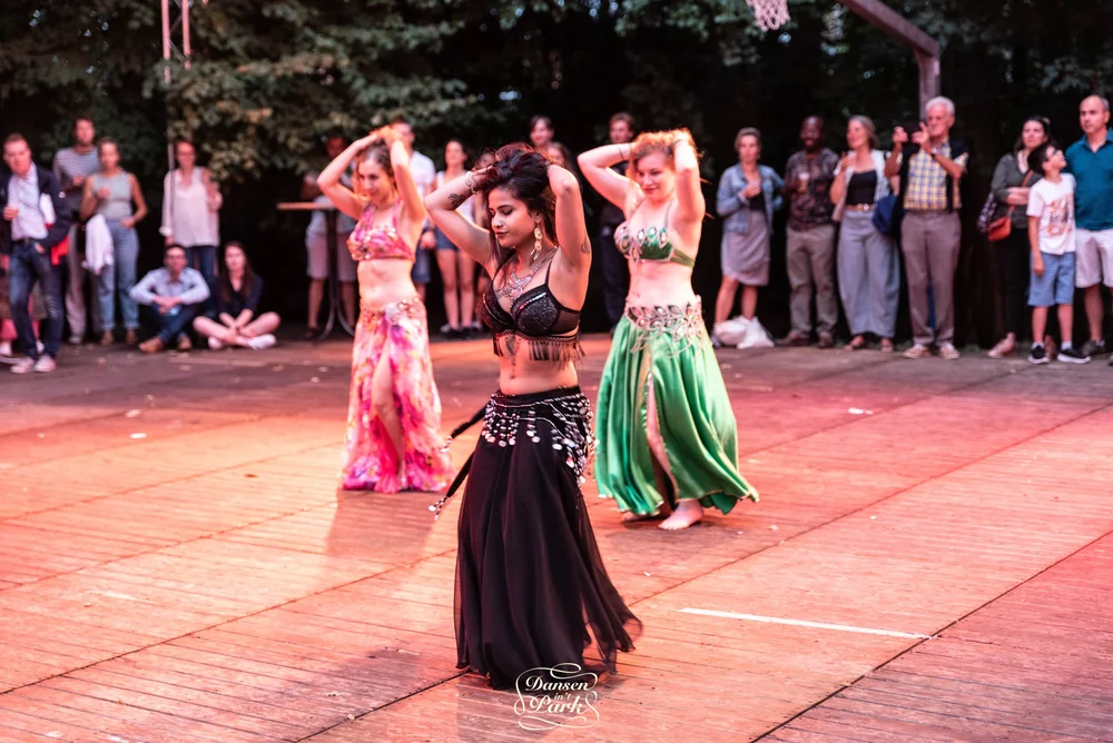 Programma — Dansen in 't Park