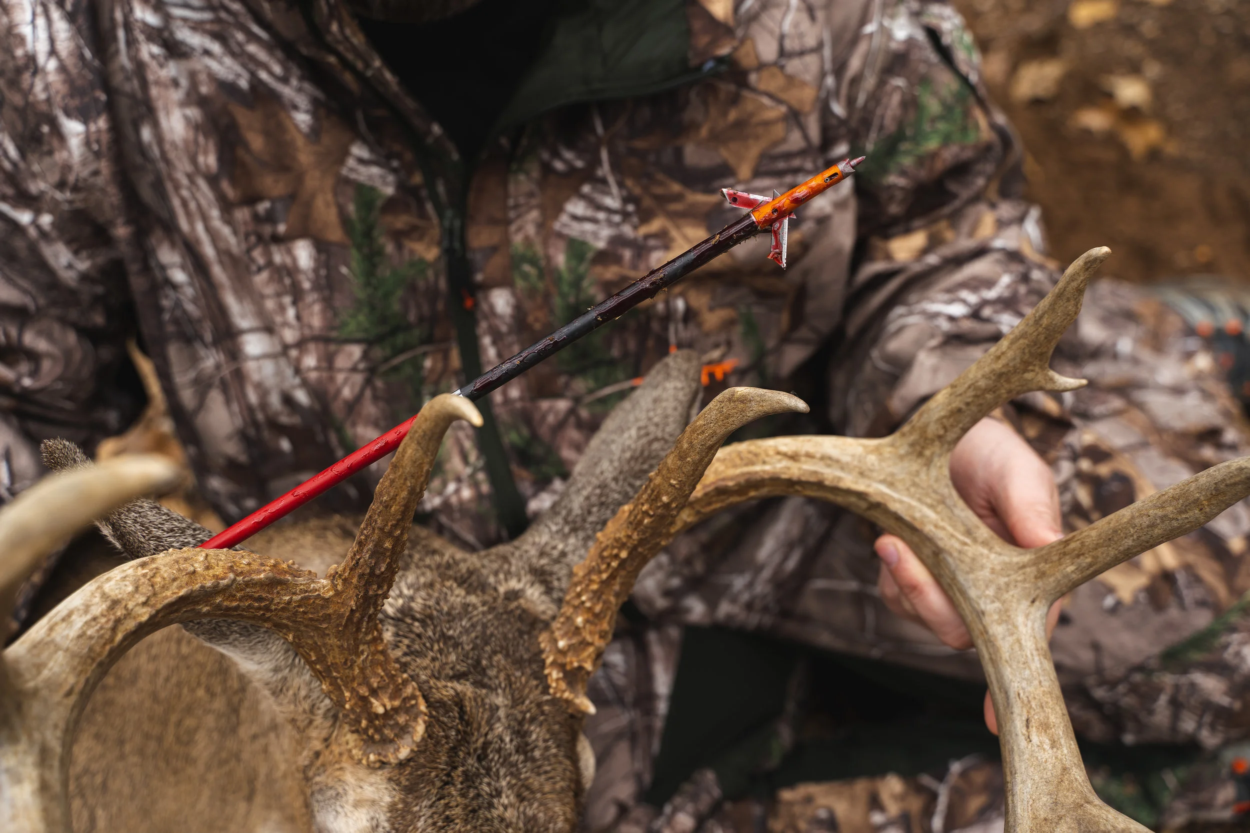 Thorn Broadheads