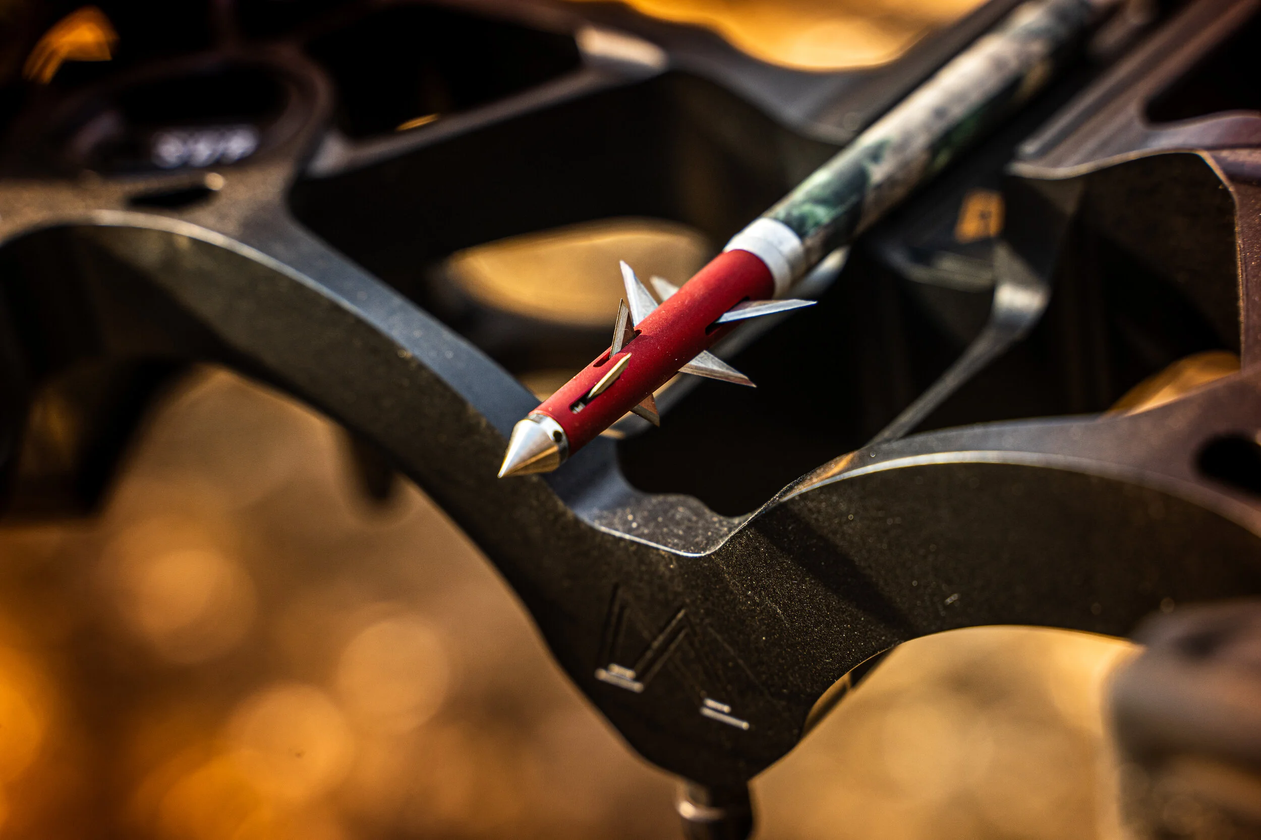 Thorn Broadheads