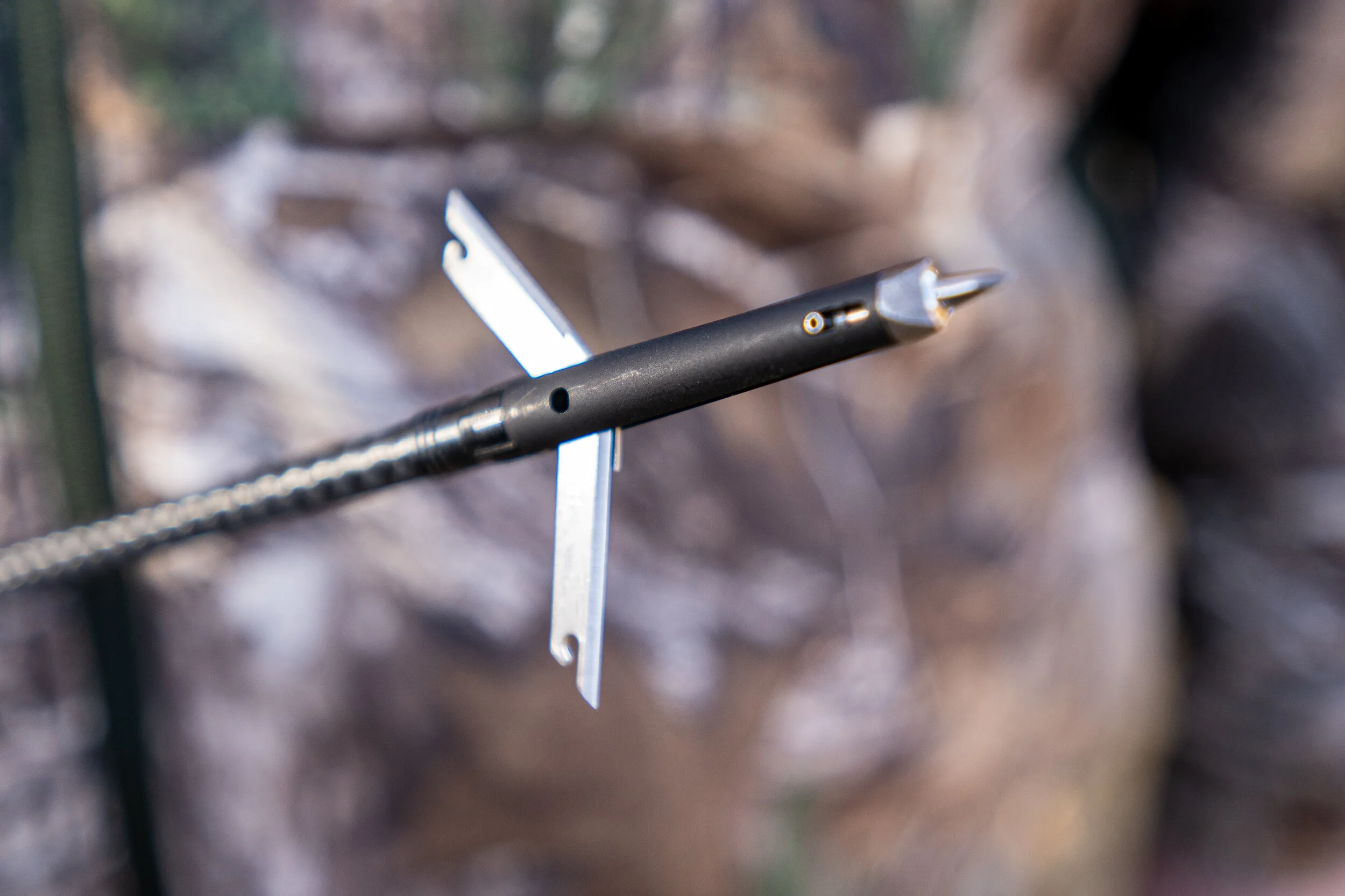 Thorn Broadheads