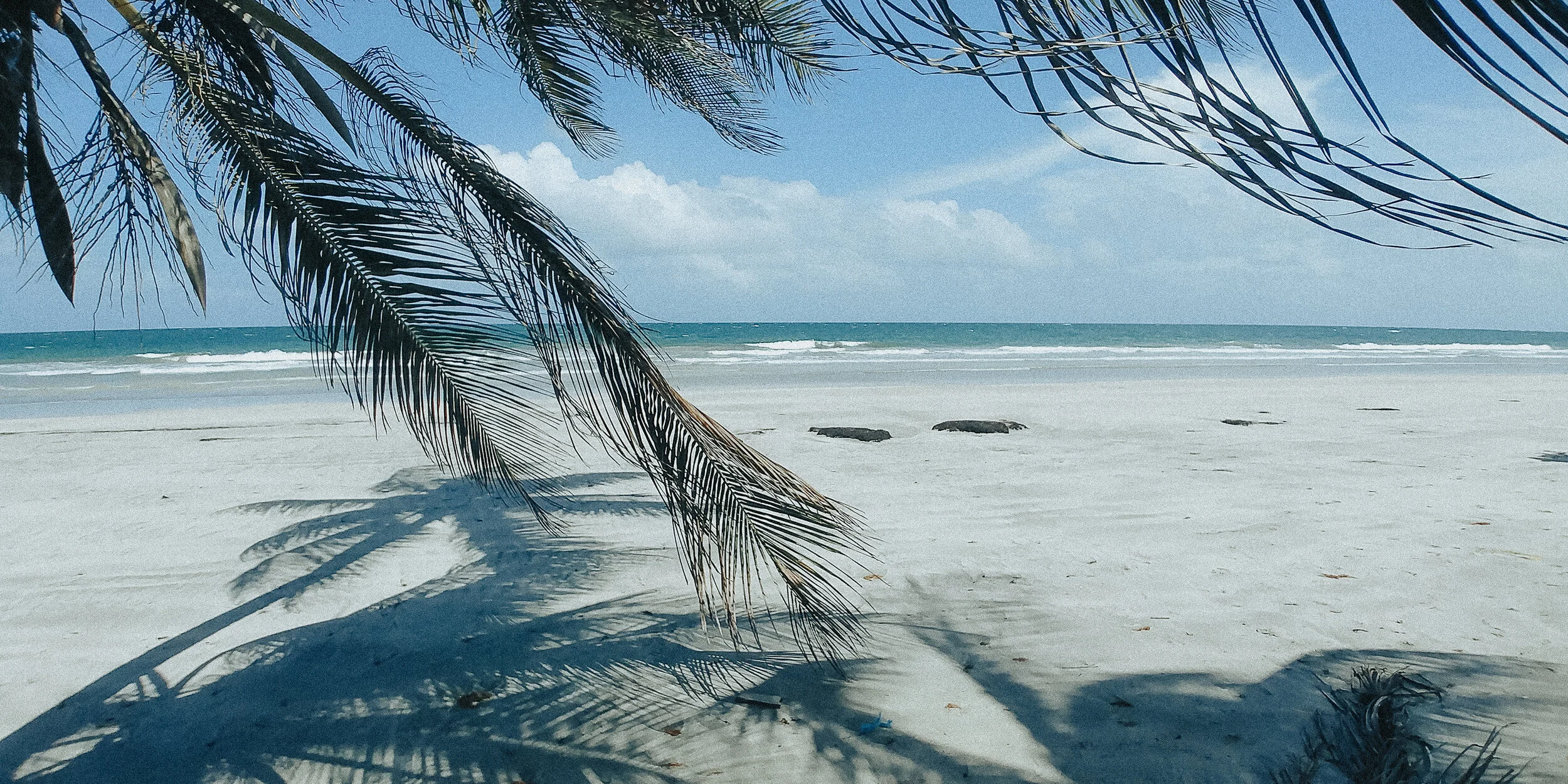 Luke Richardson Author