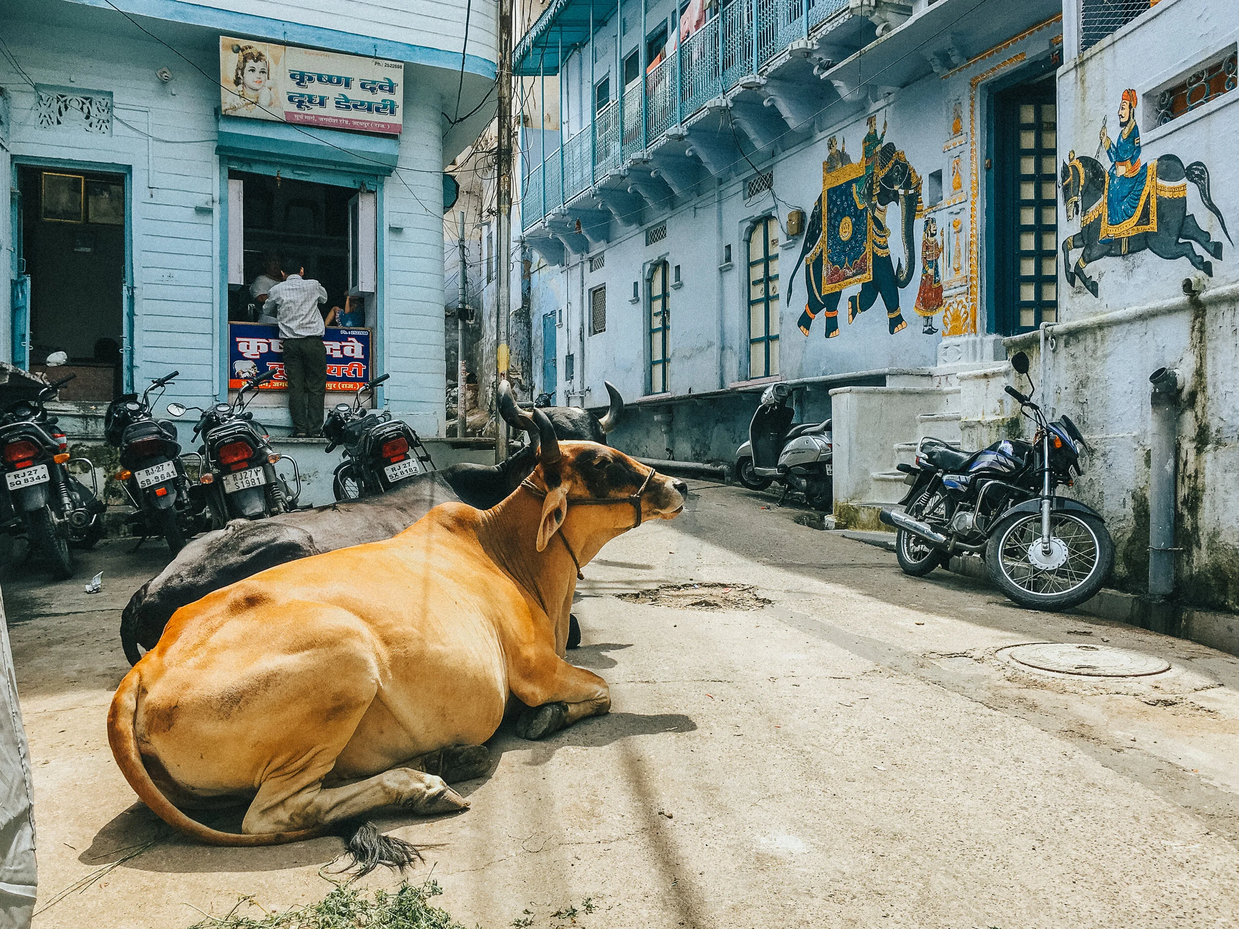 Luke Richardson Author