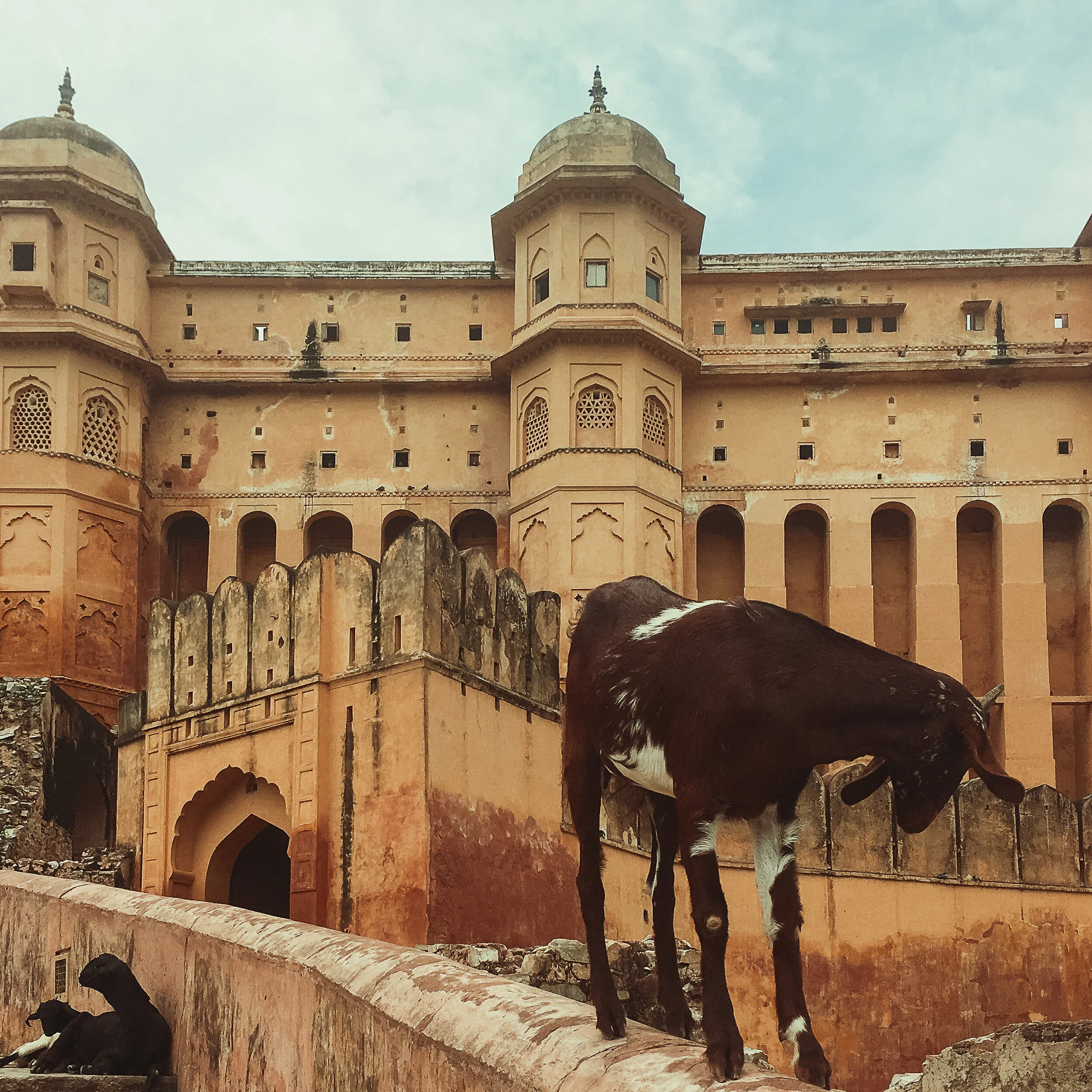 Luke Richardson Author