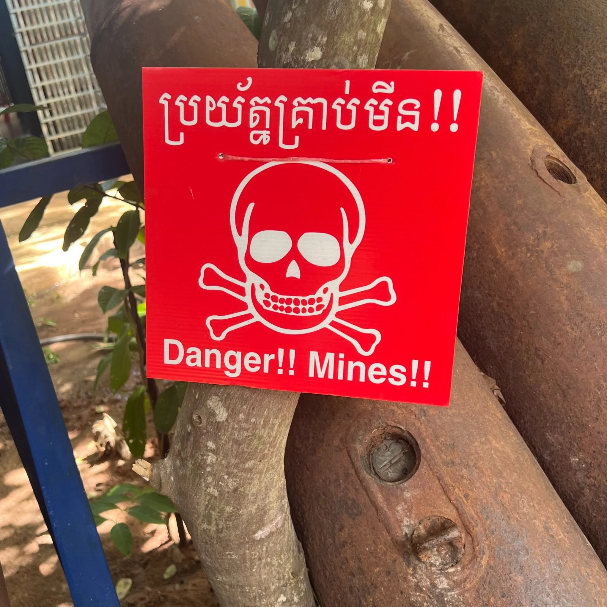 Luke Richardson Author