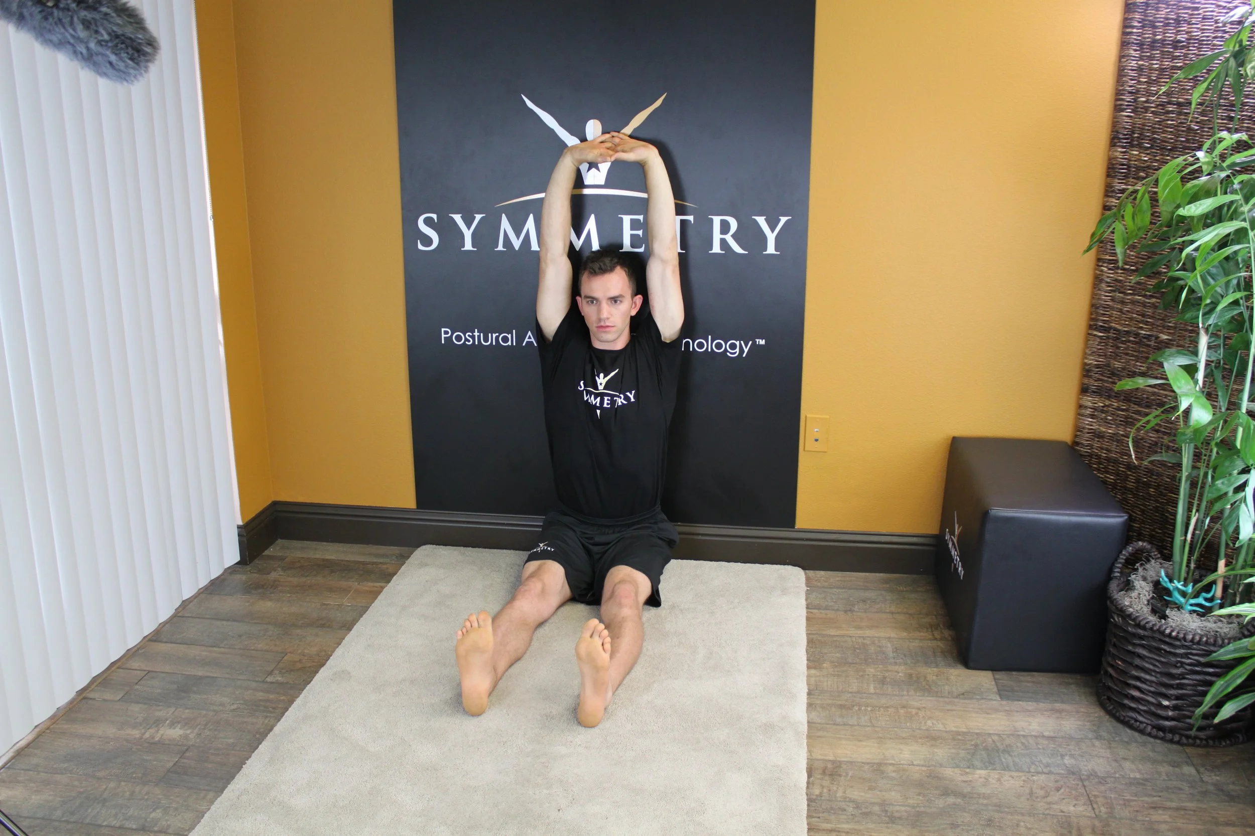 Postural Alignment Kit (PAK) — Symmetry Alignsmart