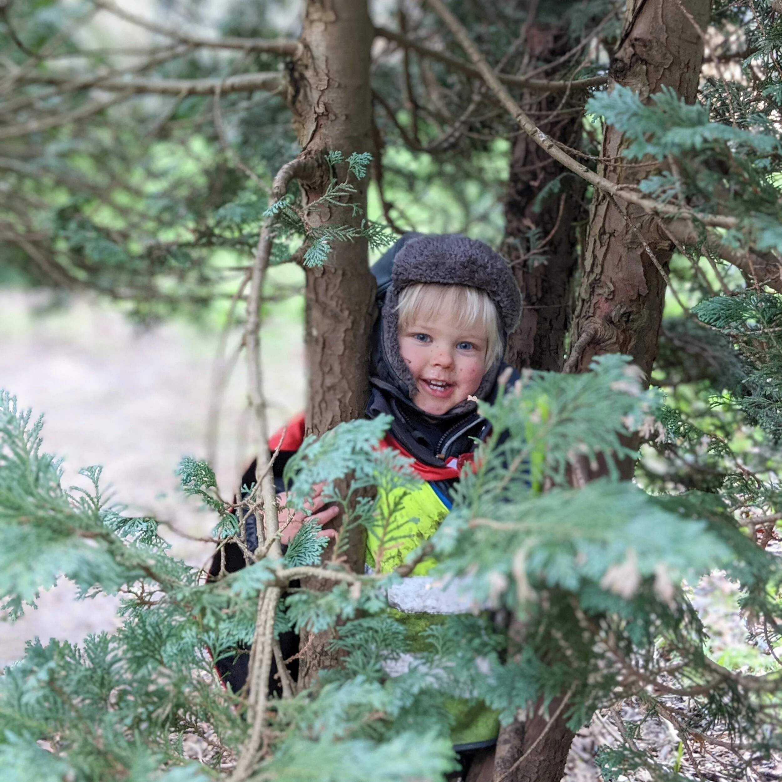 Outdoor Owls - Forest School Nursery