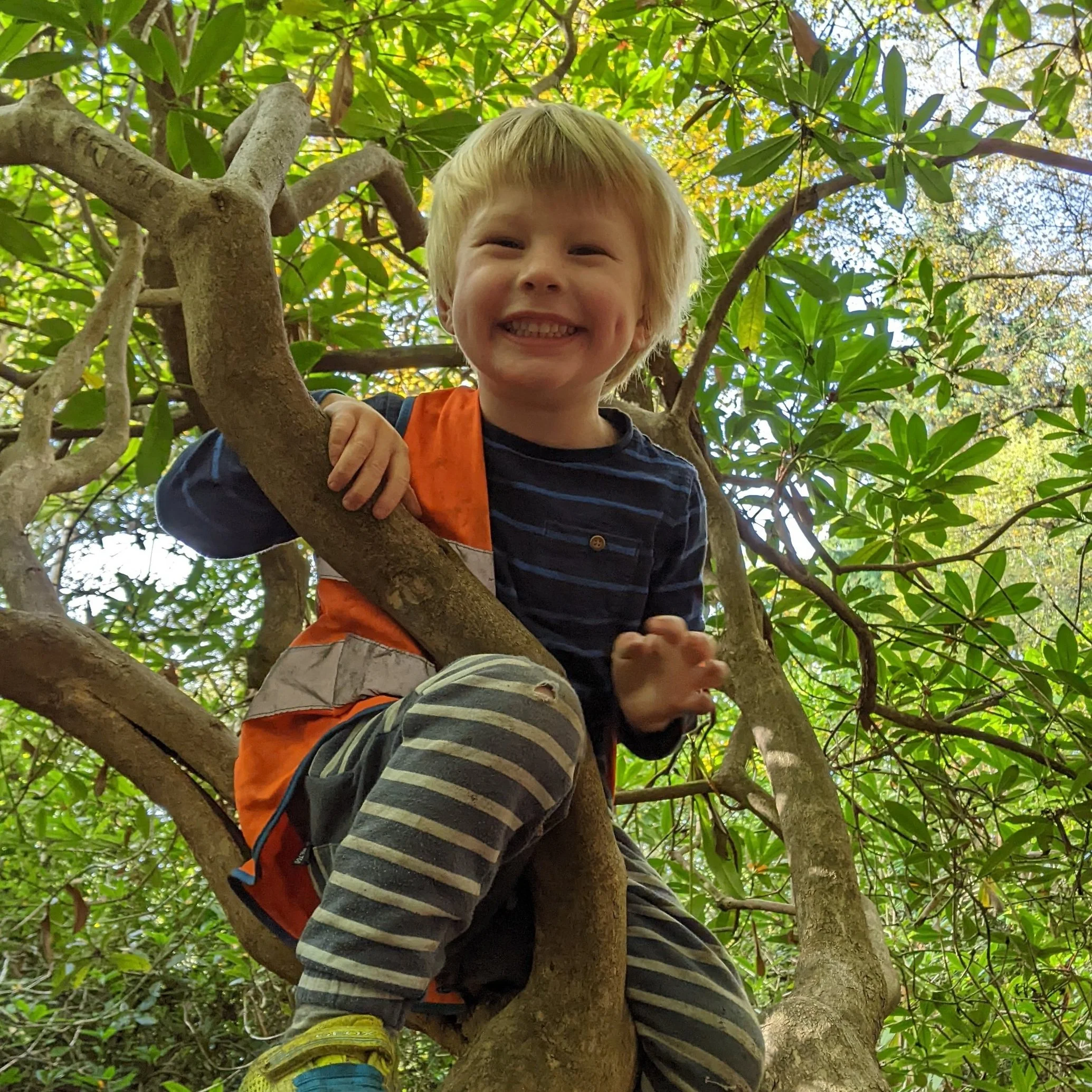 Outdoor Owls - Forest School Nursery