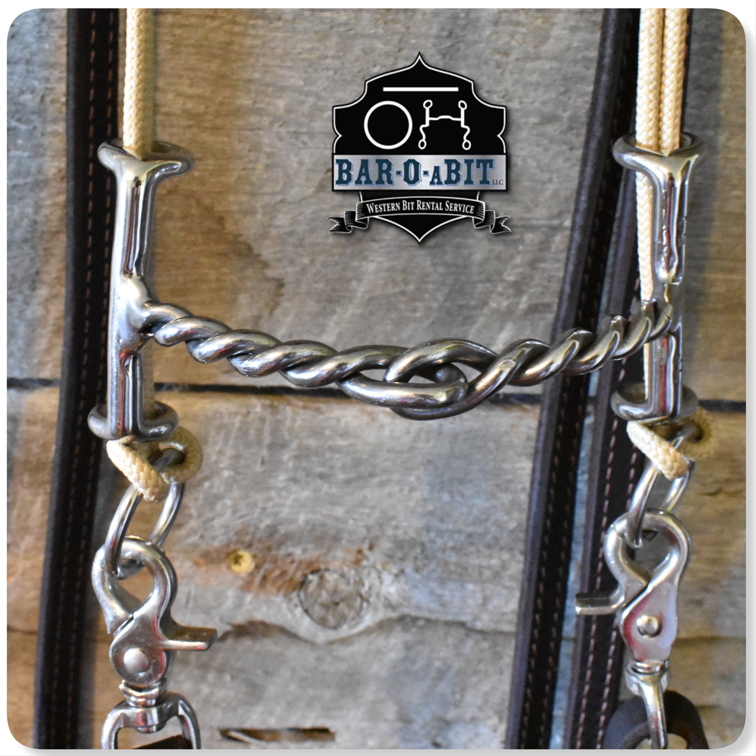 Loomis Gag Slip Ear Twisted Wire Snaffle — Bar-O-aBit™, LLC