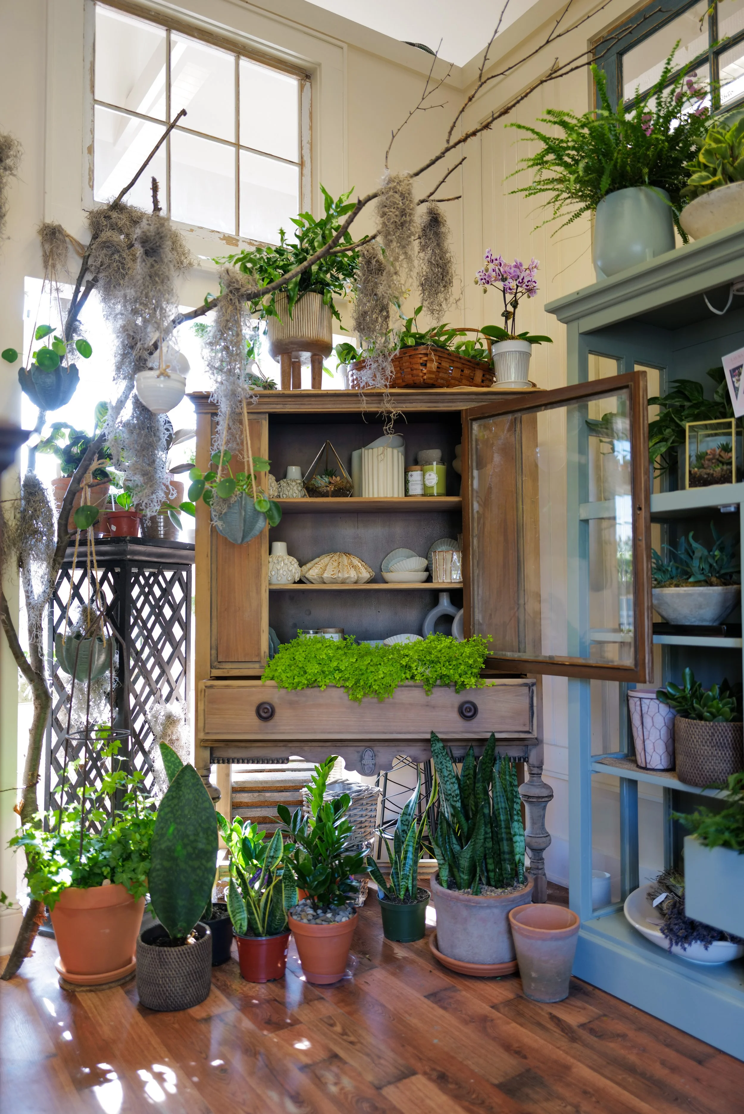 The Garden Shoppe — Laura Clare Design