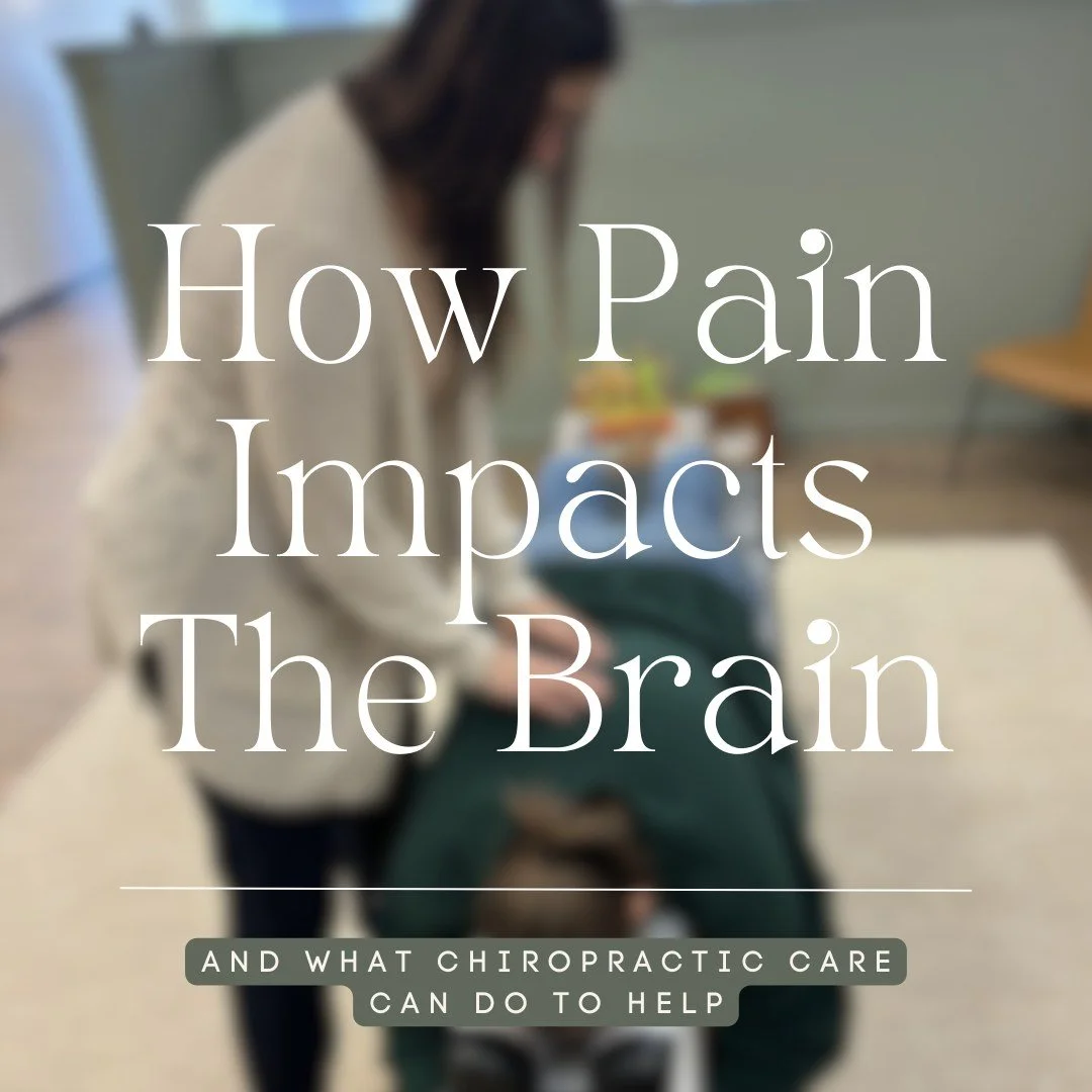 Understanding and Navigating the Nervous System and Dysregulation ...