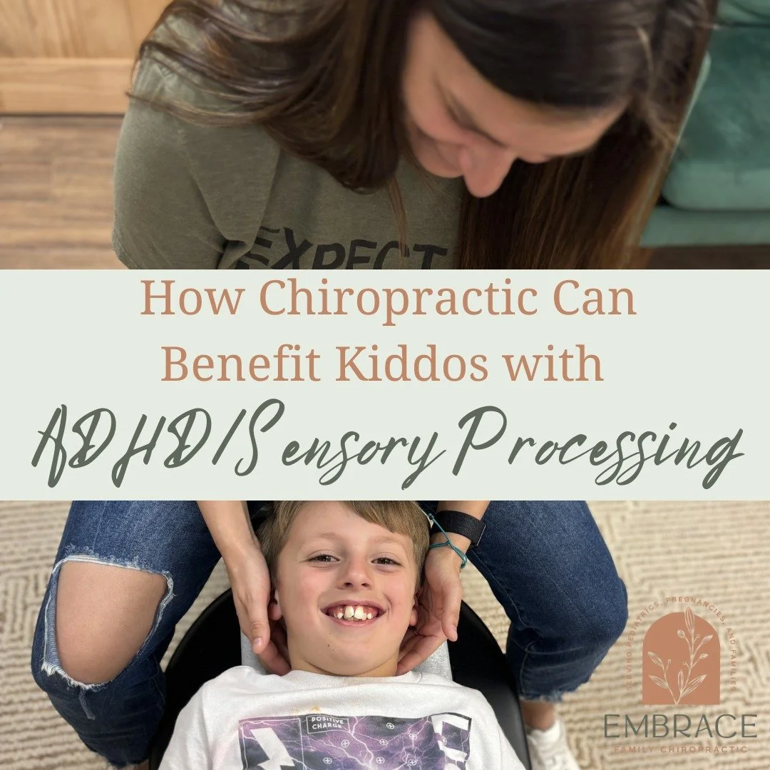 Understanding and Navigating the Nervous System and Dysregulation ...