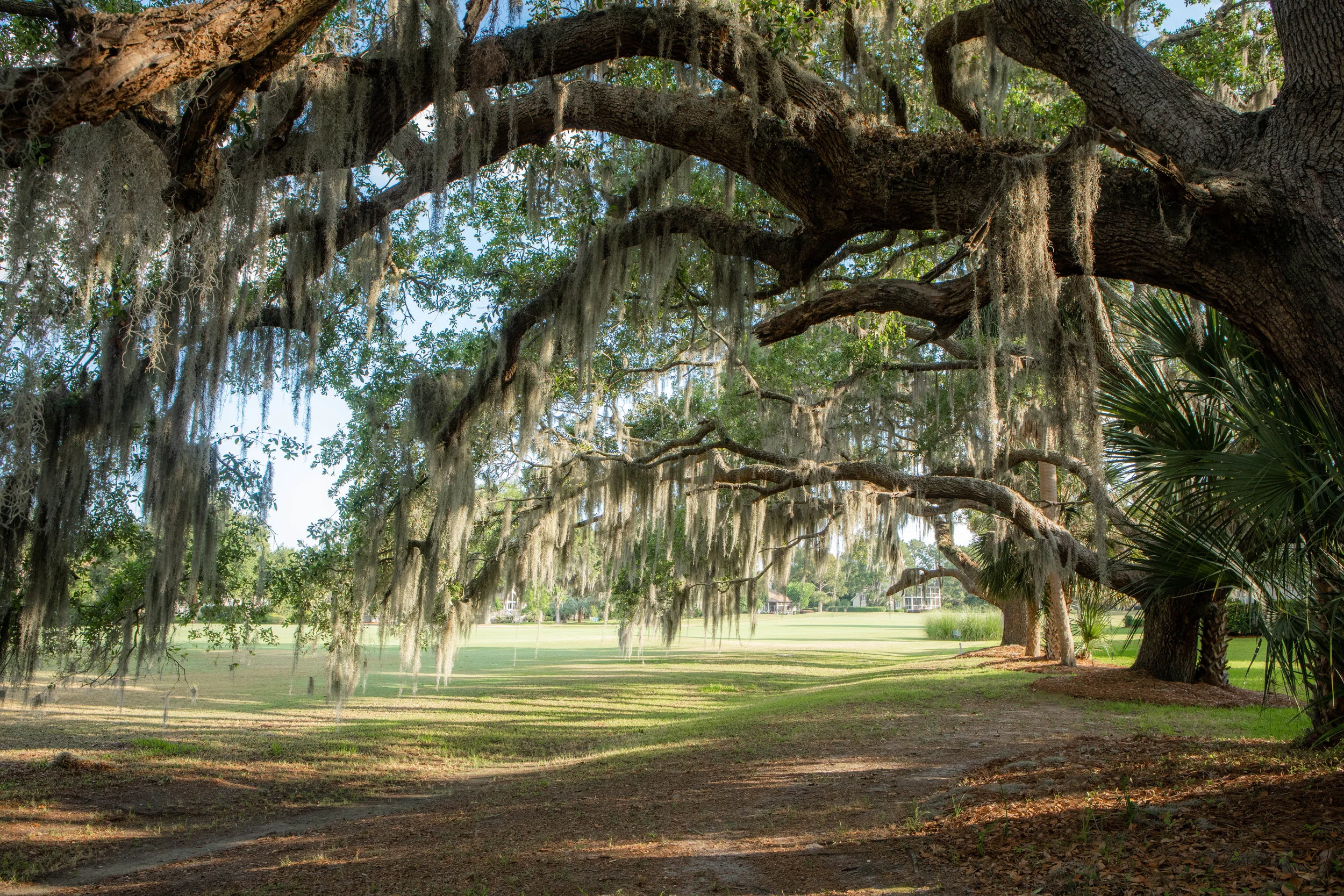 Governing Documents — Moss Creek