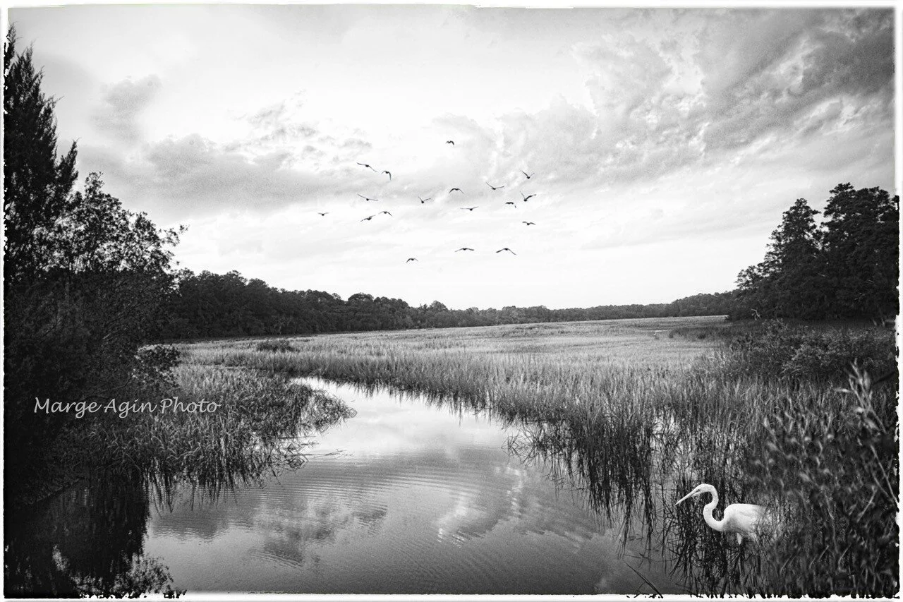 Gallery — Artists Of The Bluff