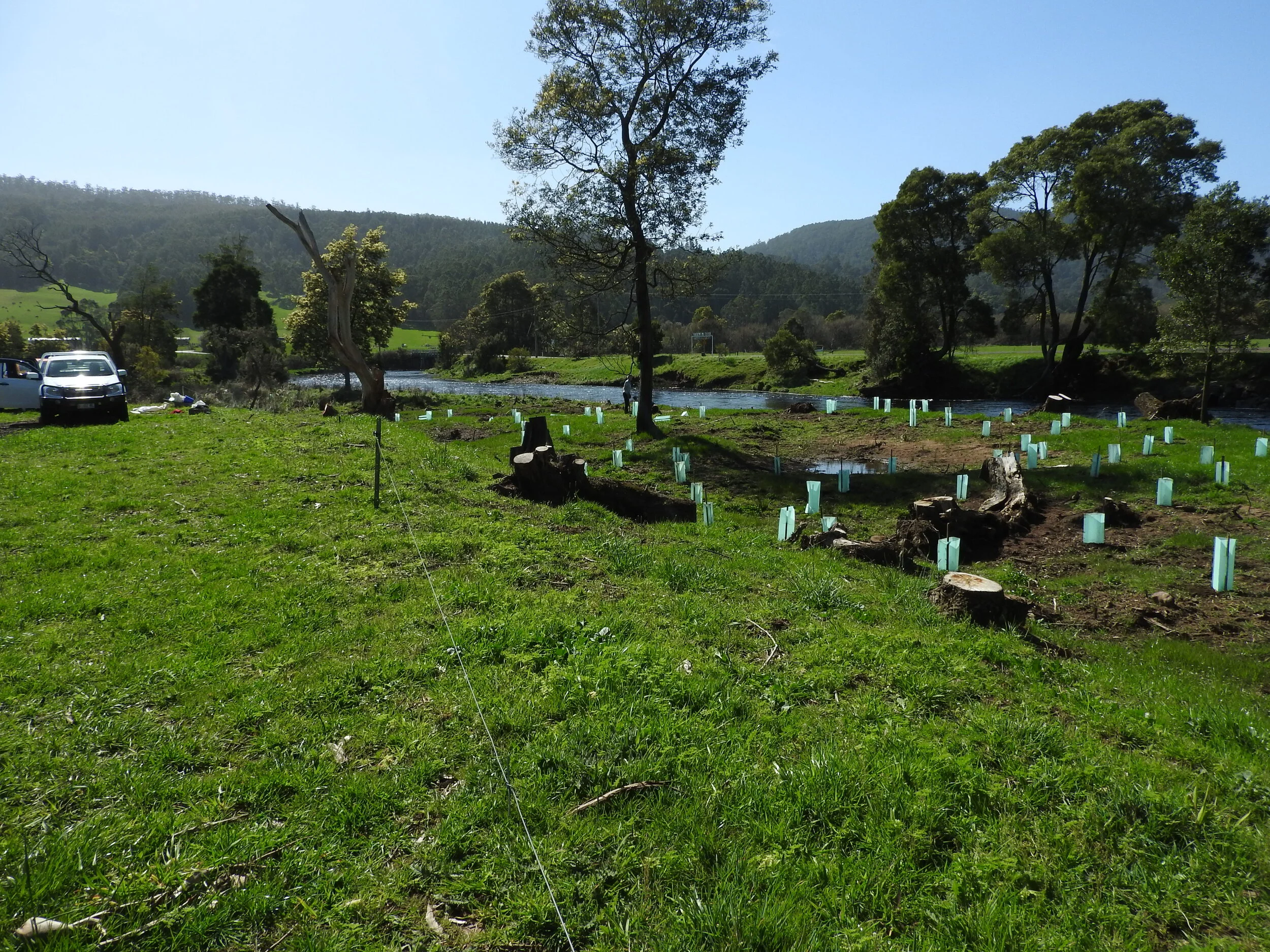 River Leven Willow Removal Project Stage 2 — Anglers Alliance Tasmania