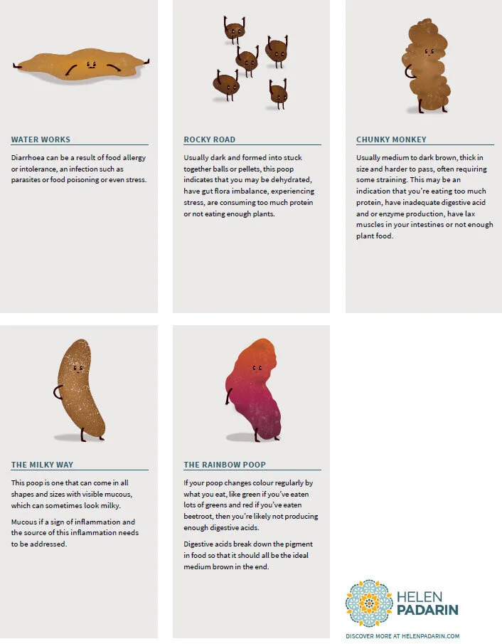 Vad säger din avföring? — Scherdin Consulting