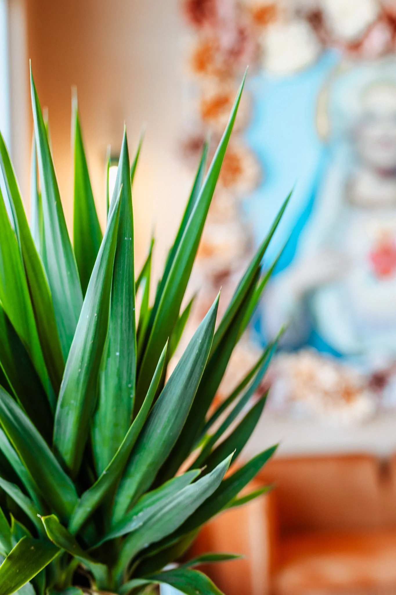 Bee Cave Salon Gallery — Deep Roots ATX Salon