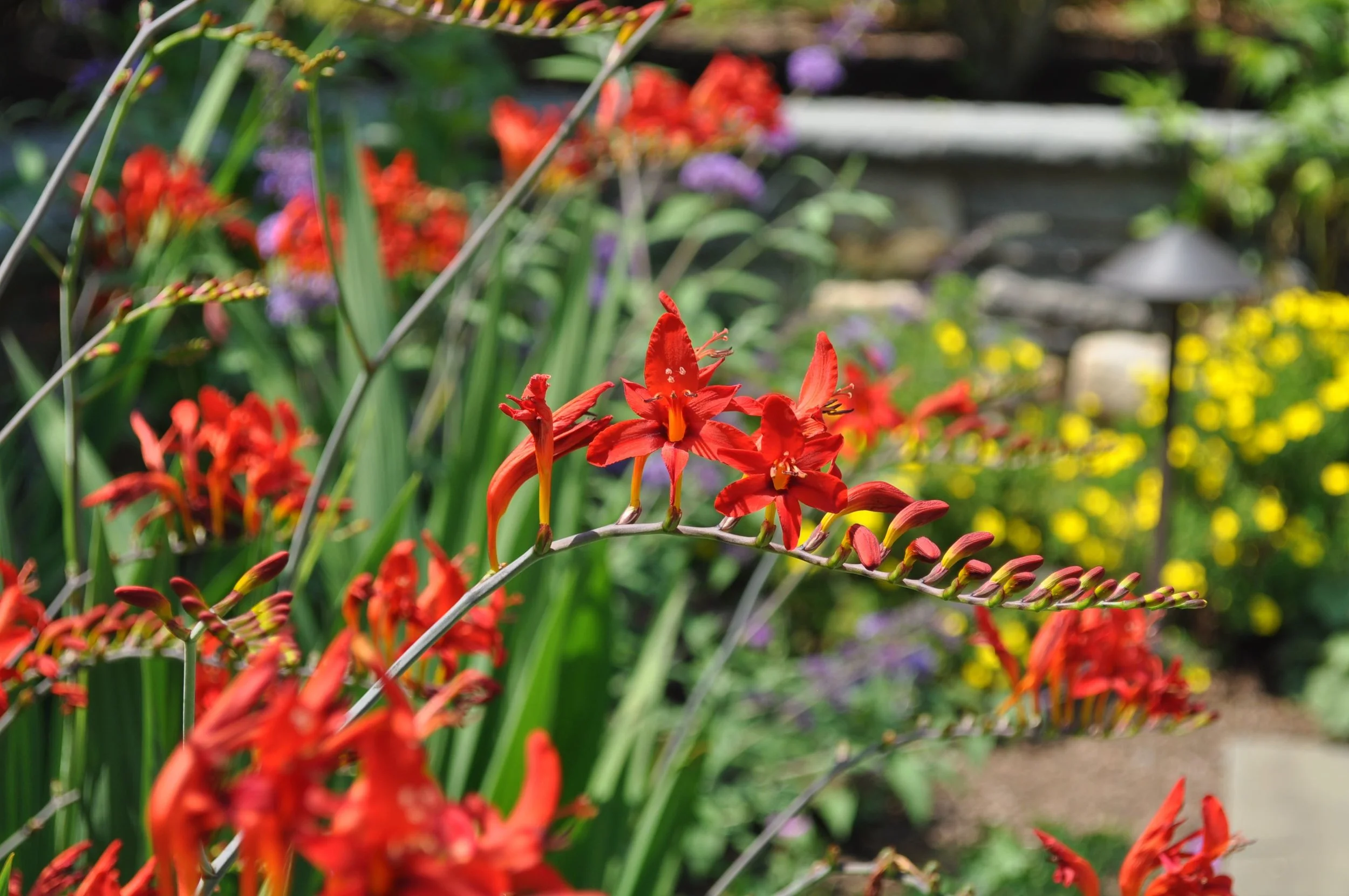 Greenwich — Water Street Design Associates