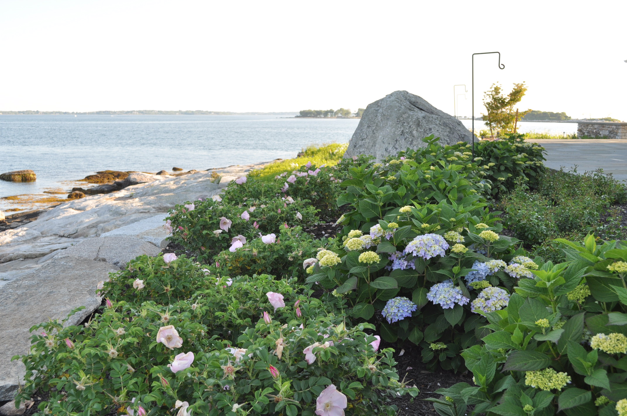 Masons Island — Water Street Design Associates