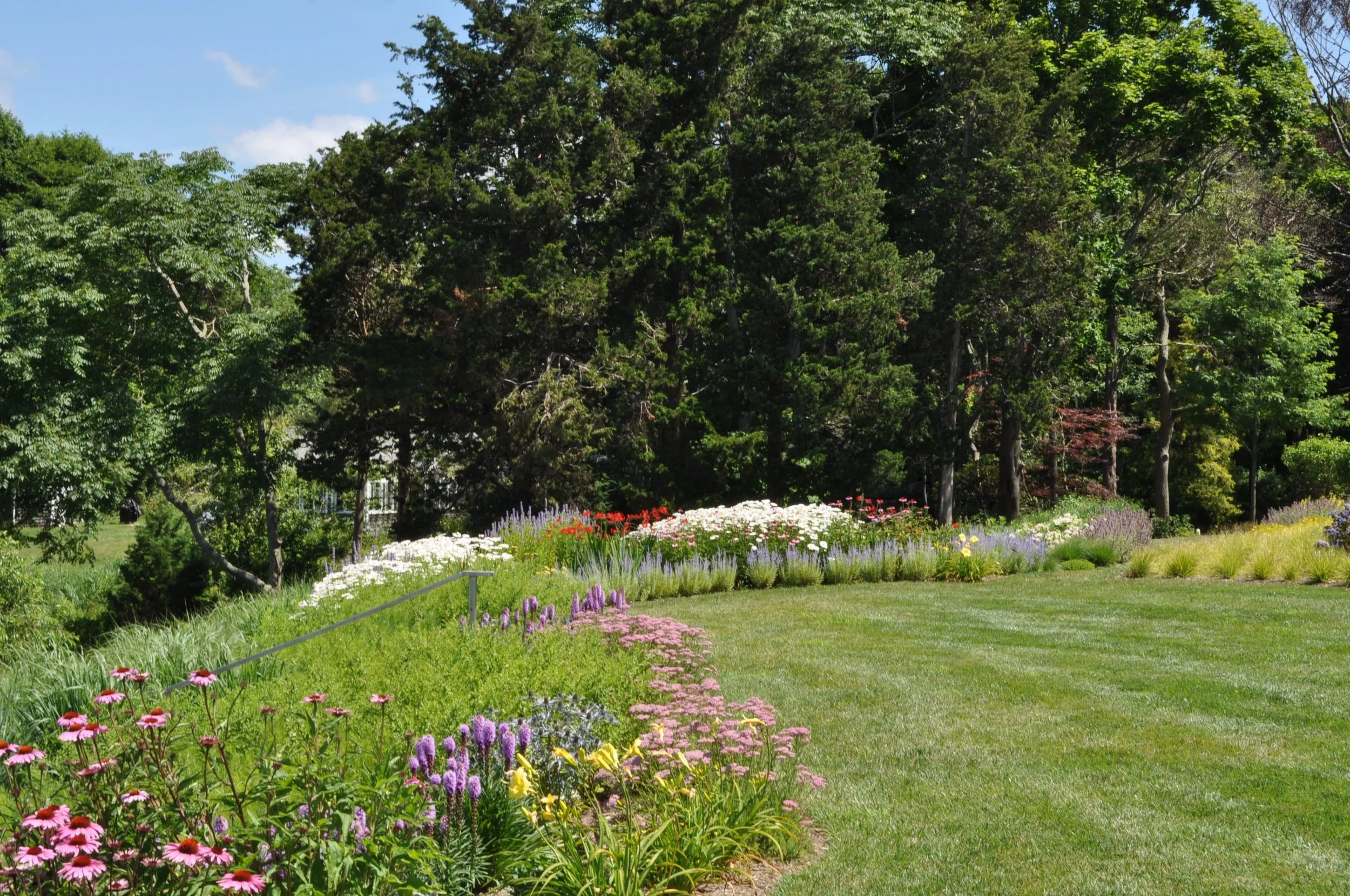 Before & After — Water Street Design Associates