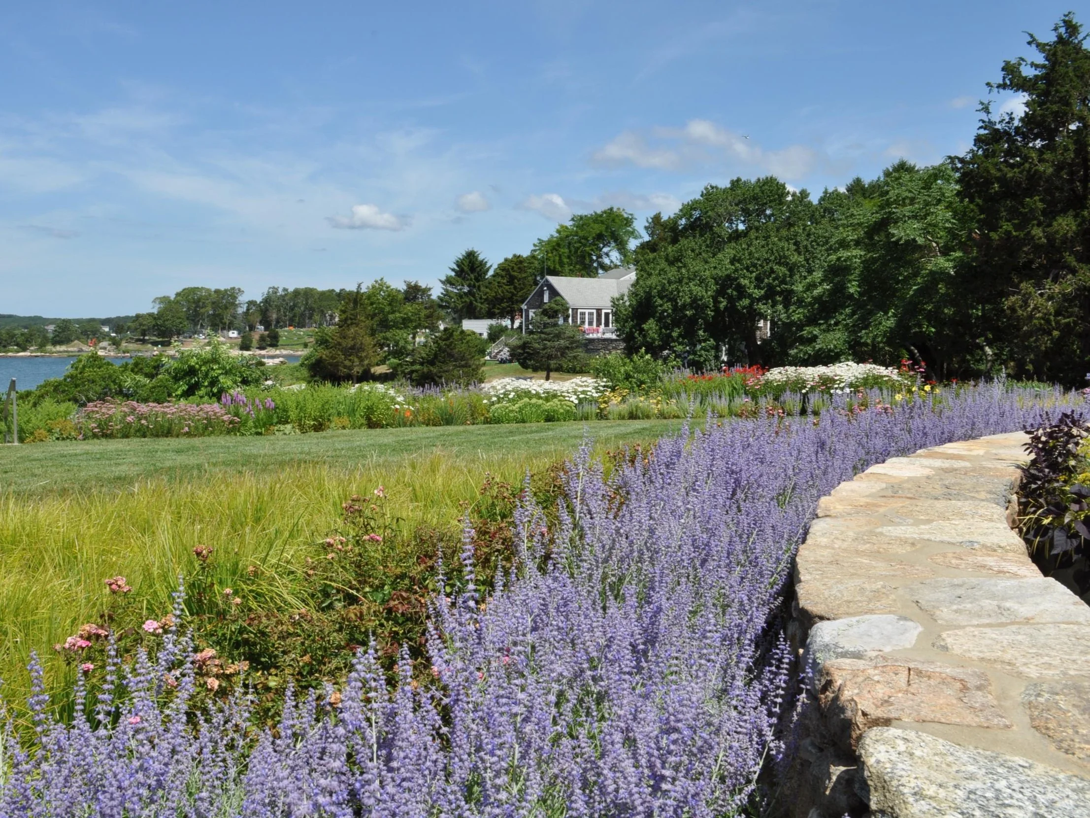 Before & After — Water Street Design Associates