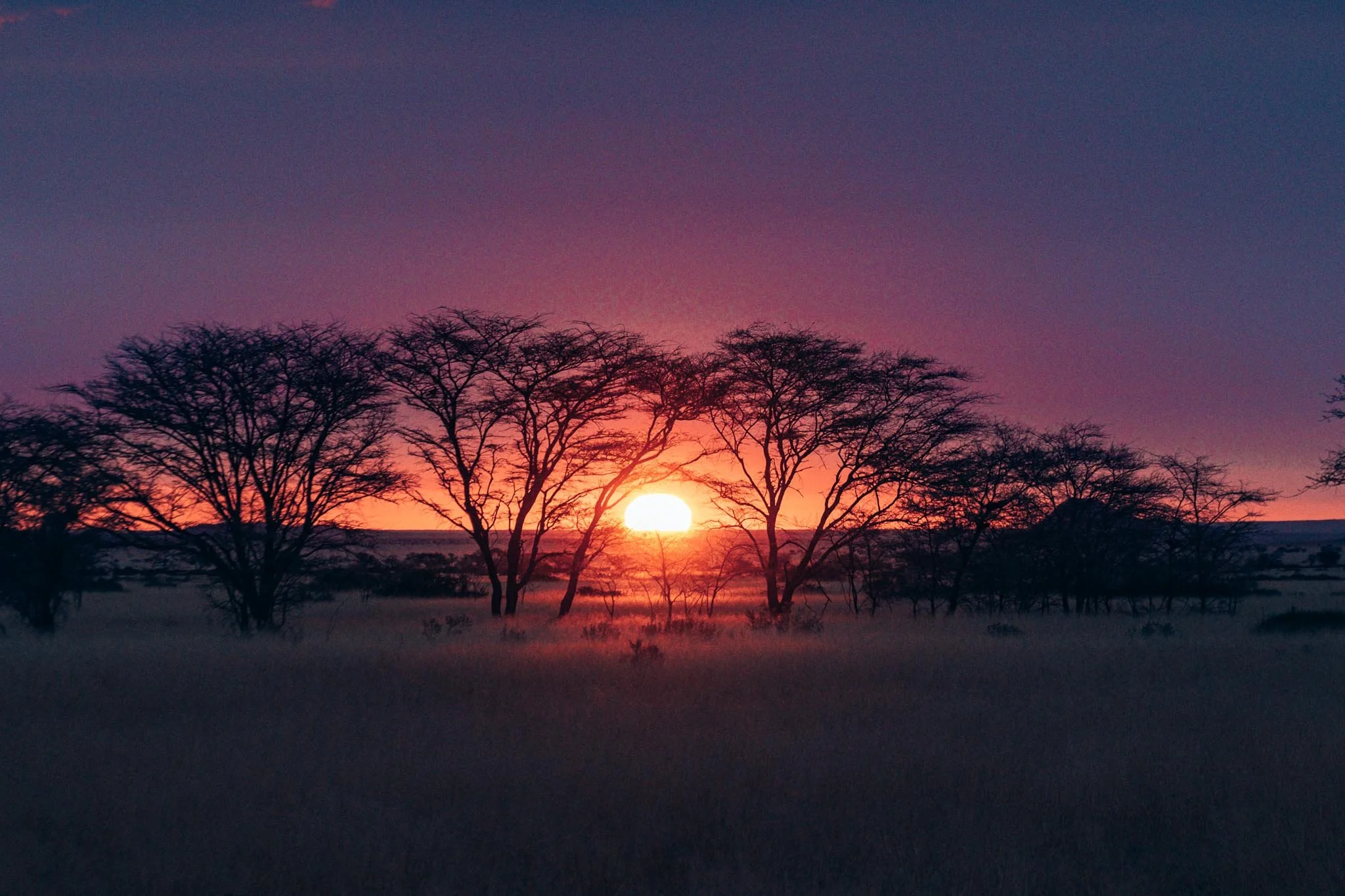 Namibia Motorcycle Adventure — Bonafide Moto Co |Motorcycle Experiences ...