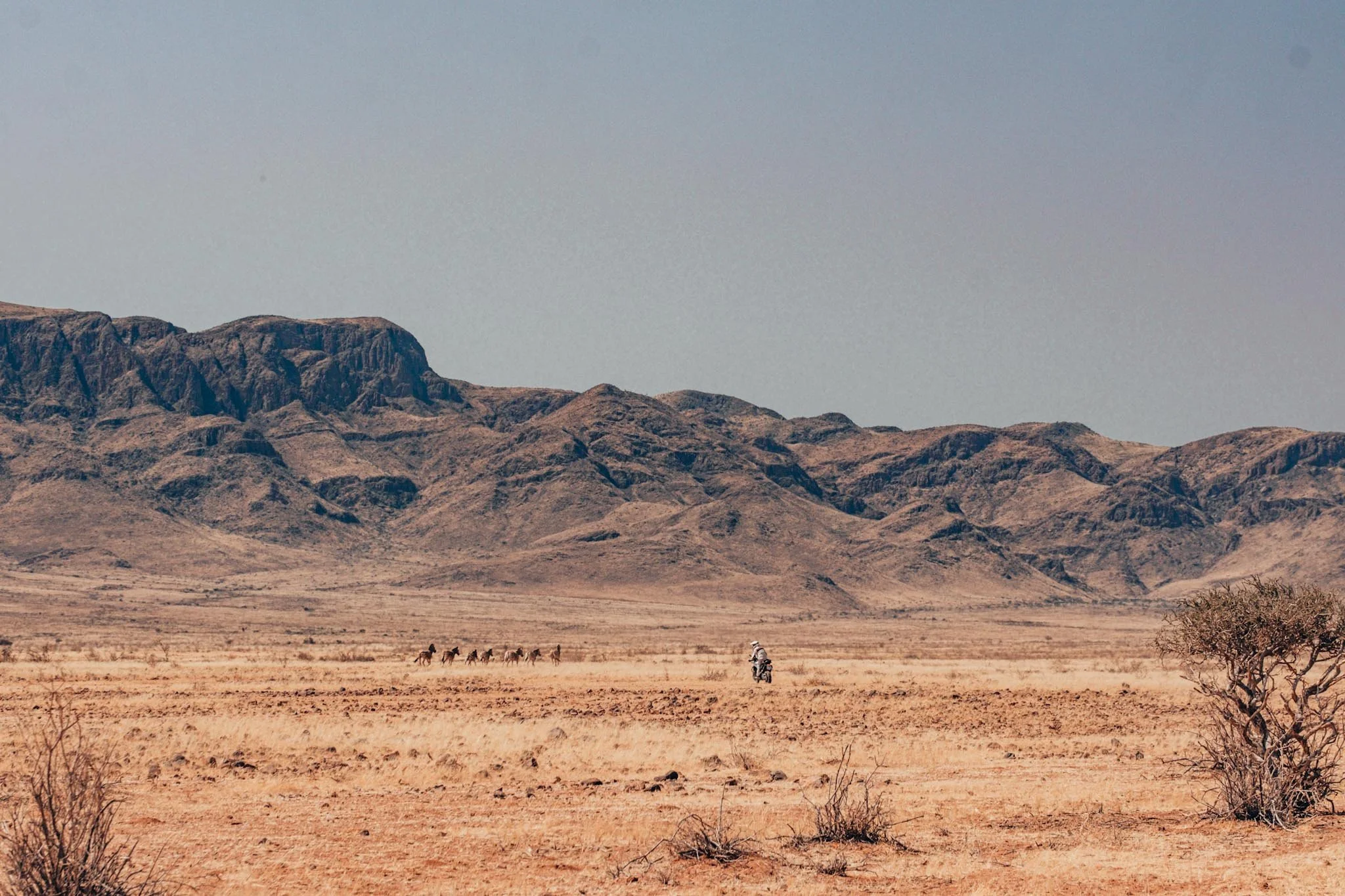 Namibia Motorcycle Adventure — Bonafide Moto Co |Motorcycle Experiences ...