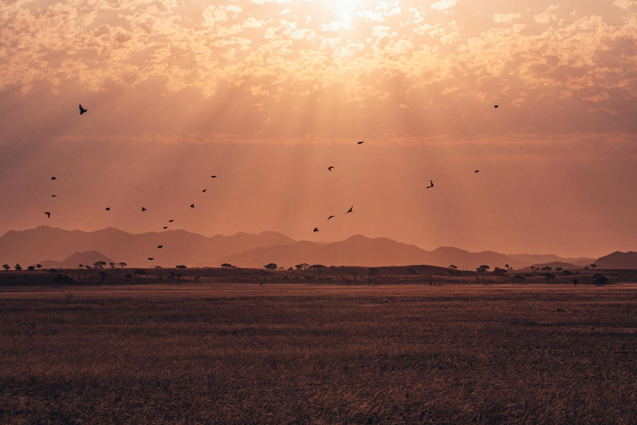 Namibia Motorcycle Adventure — Bonafide Moto Co |Motorcycle Experiences ...