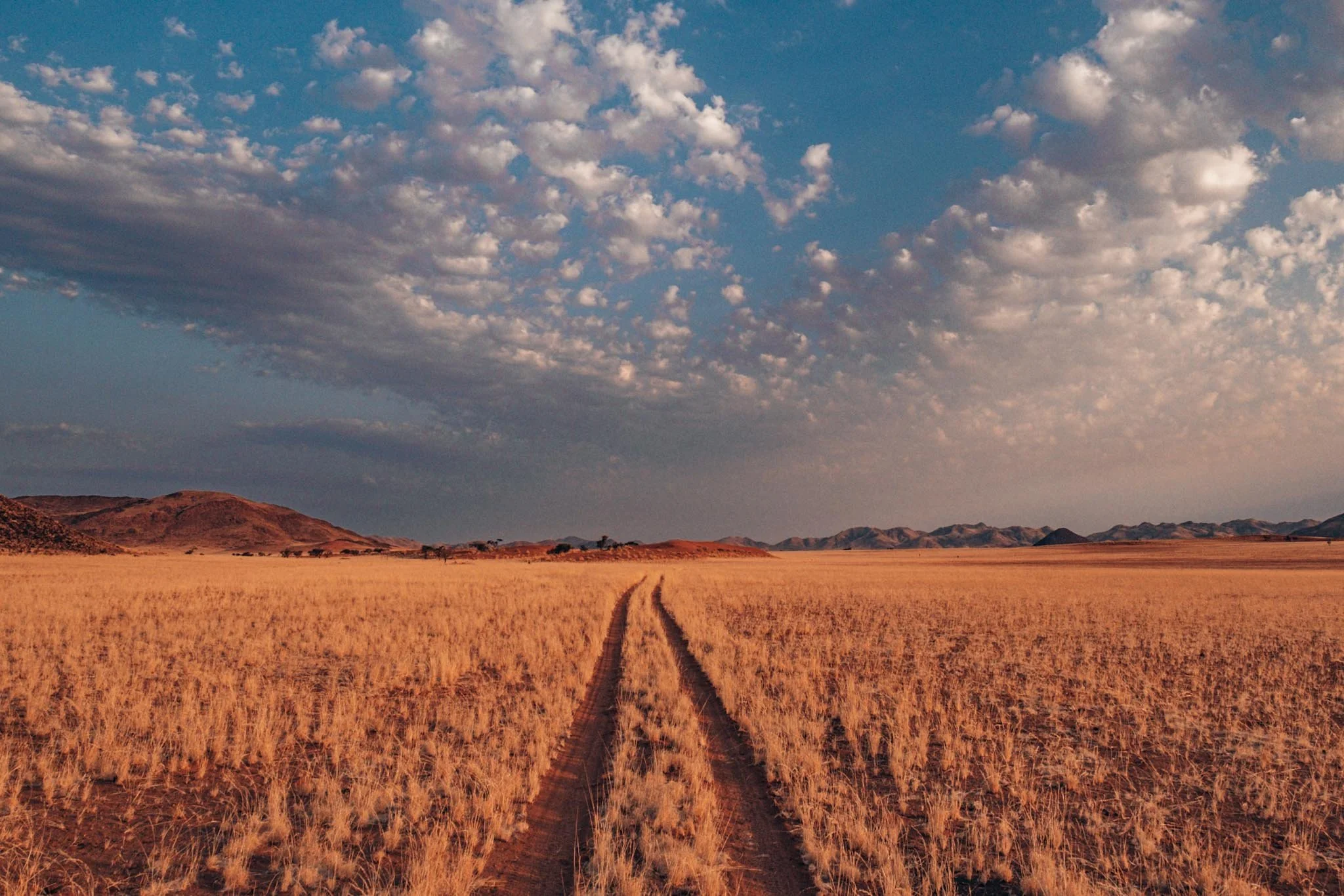 Namibia Motorcycle Adventure — Bonafide Moto Co |Motorcycle Experiences ...