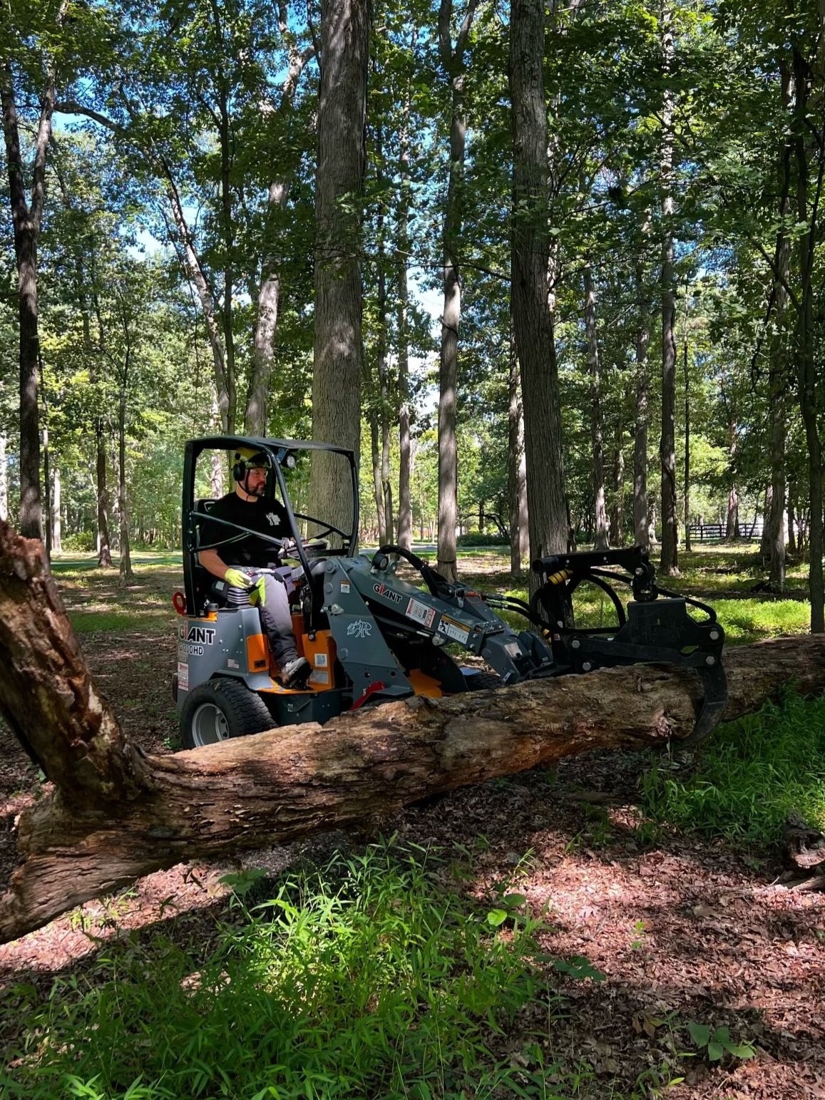 NJ Crane Expert - Noble Oak Safety & Training Joins Forces with GiANT ...