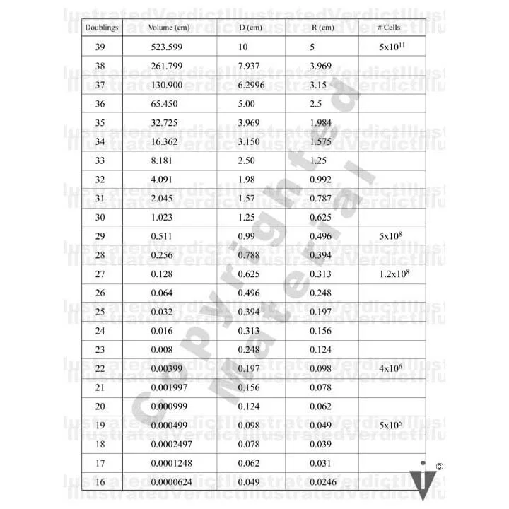 Stock Breast: Charts / Graphs — Illustrated Verdict