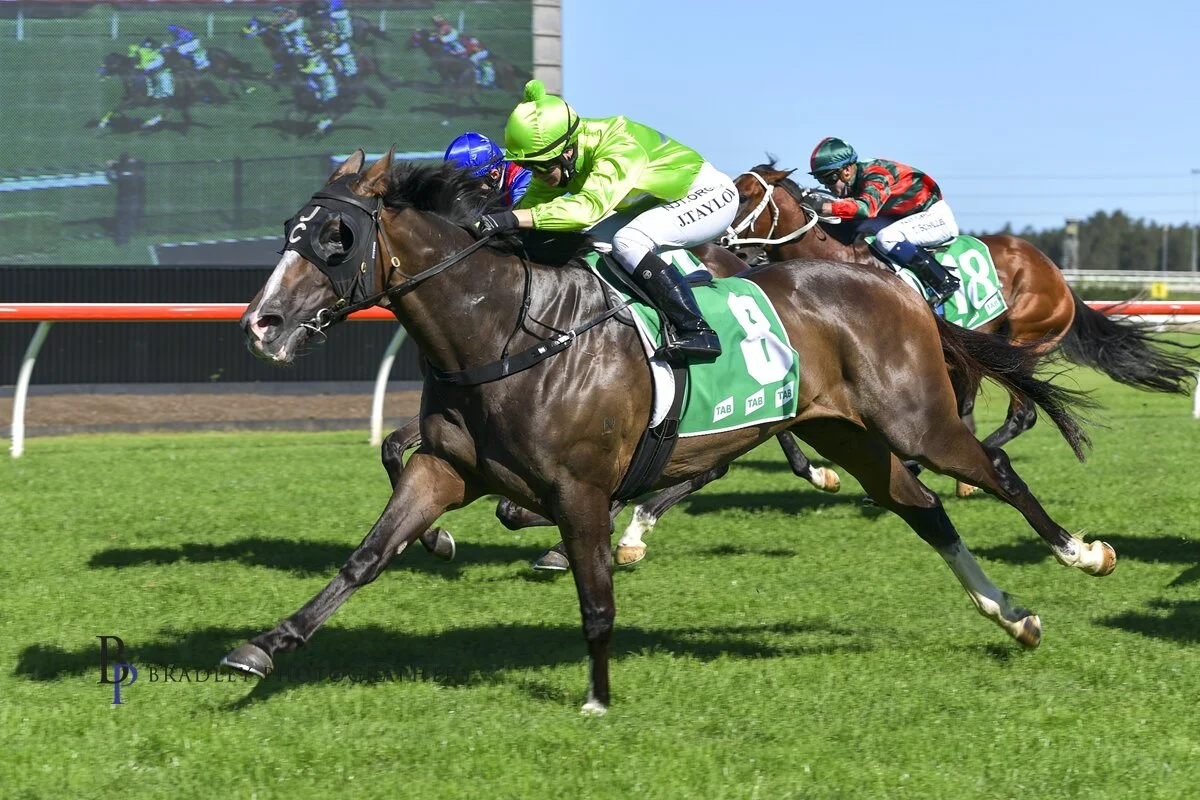 Gallery — JASON COYLE RACING